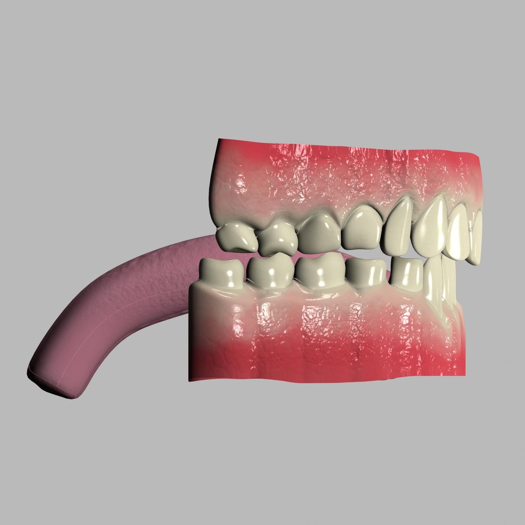Mouth Teeth 3d Model