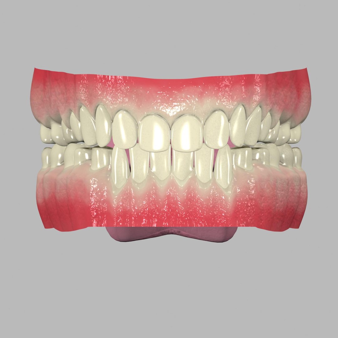 Mouth Teeth 3d Model
