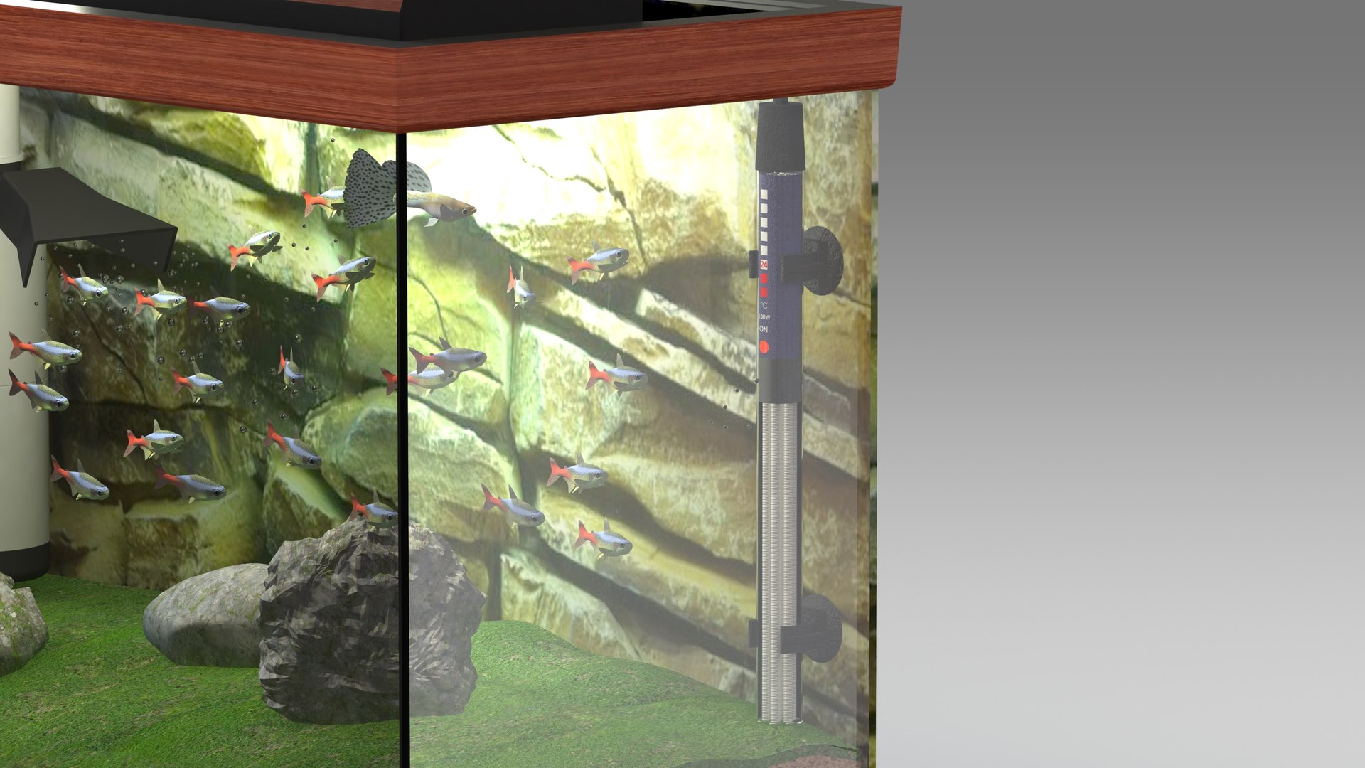 3D Tropical Aquarium - TurboSquid 1484987