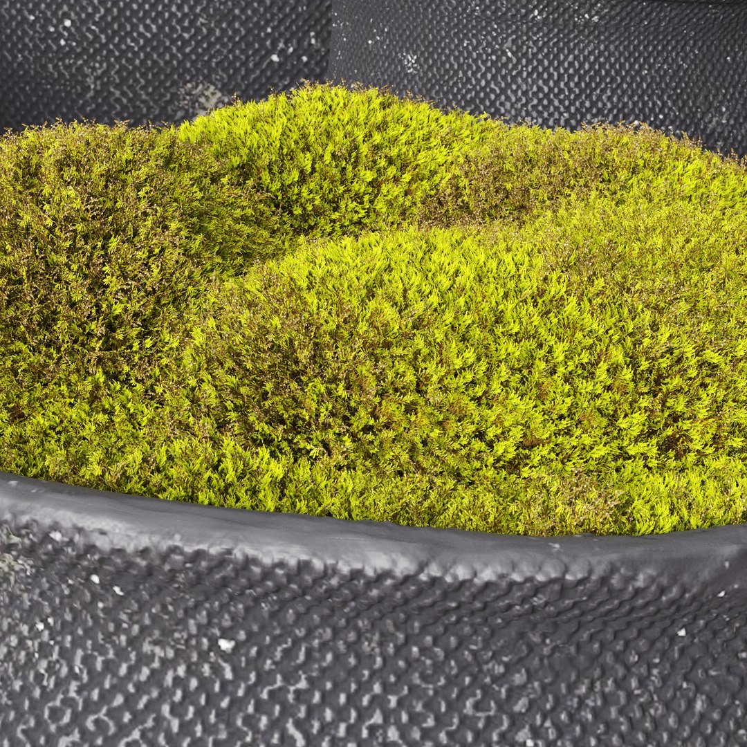 3D Model Crosshatch Concrete Vessels Moss - TurboSquid 1578557
