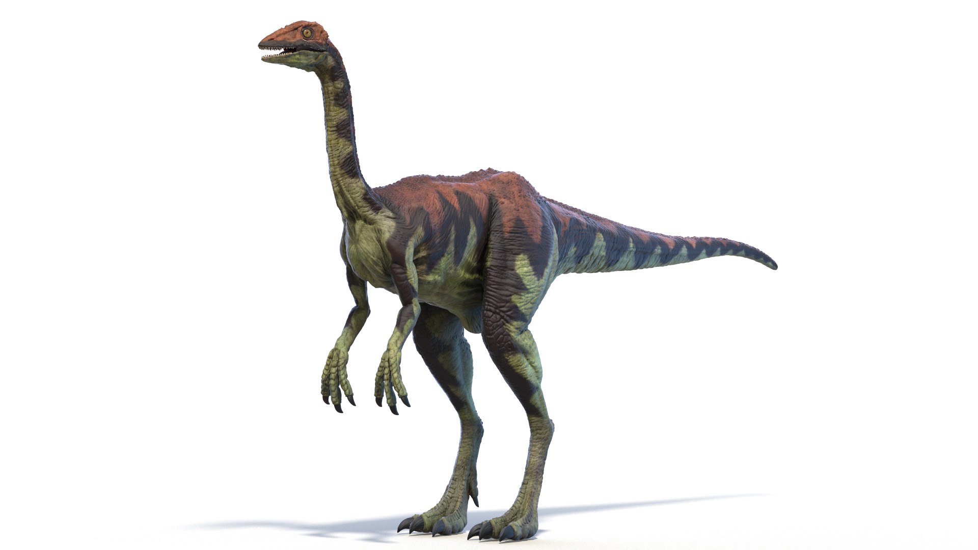 Archaeornithomimus Animated 3D - TurboSquid 1938362