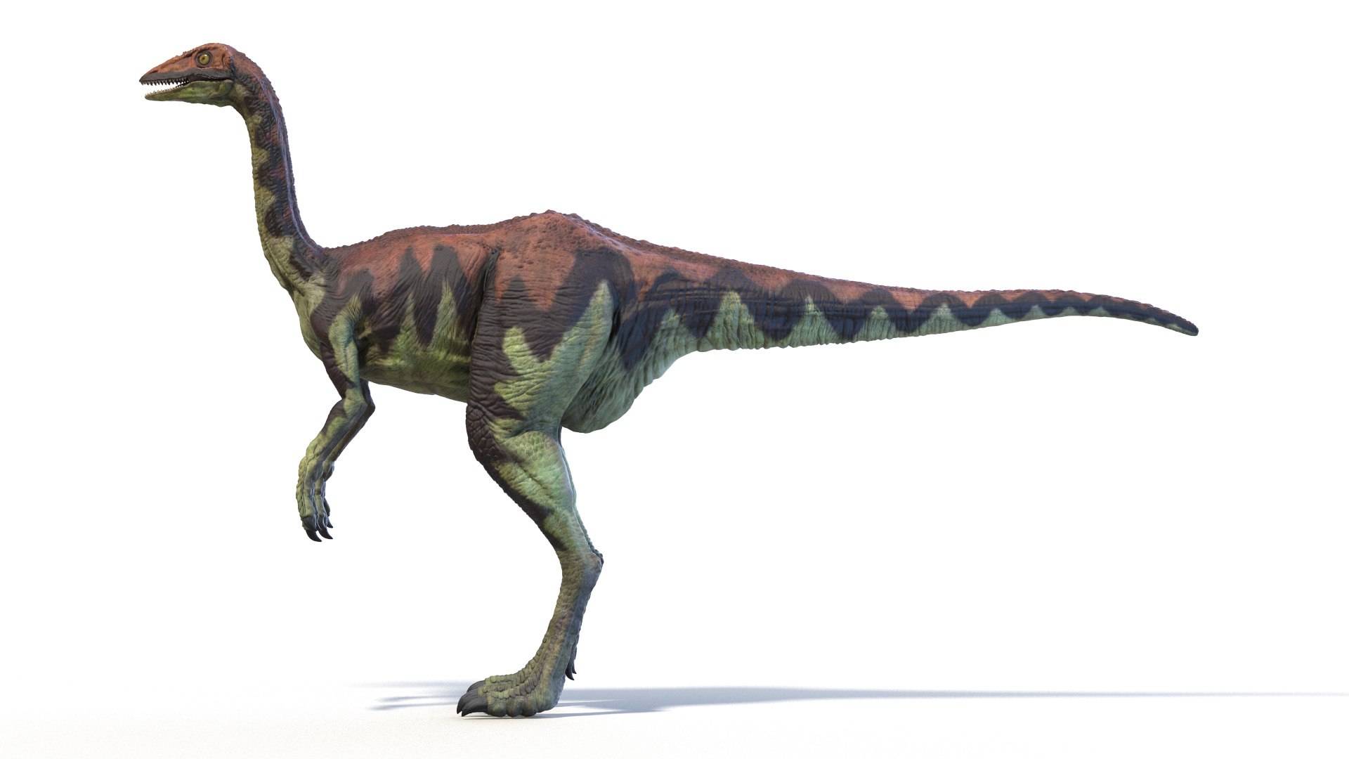 Archaeornithomimus Animated 3D - TurboSquid 1938362