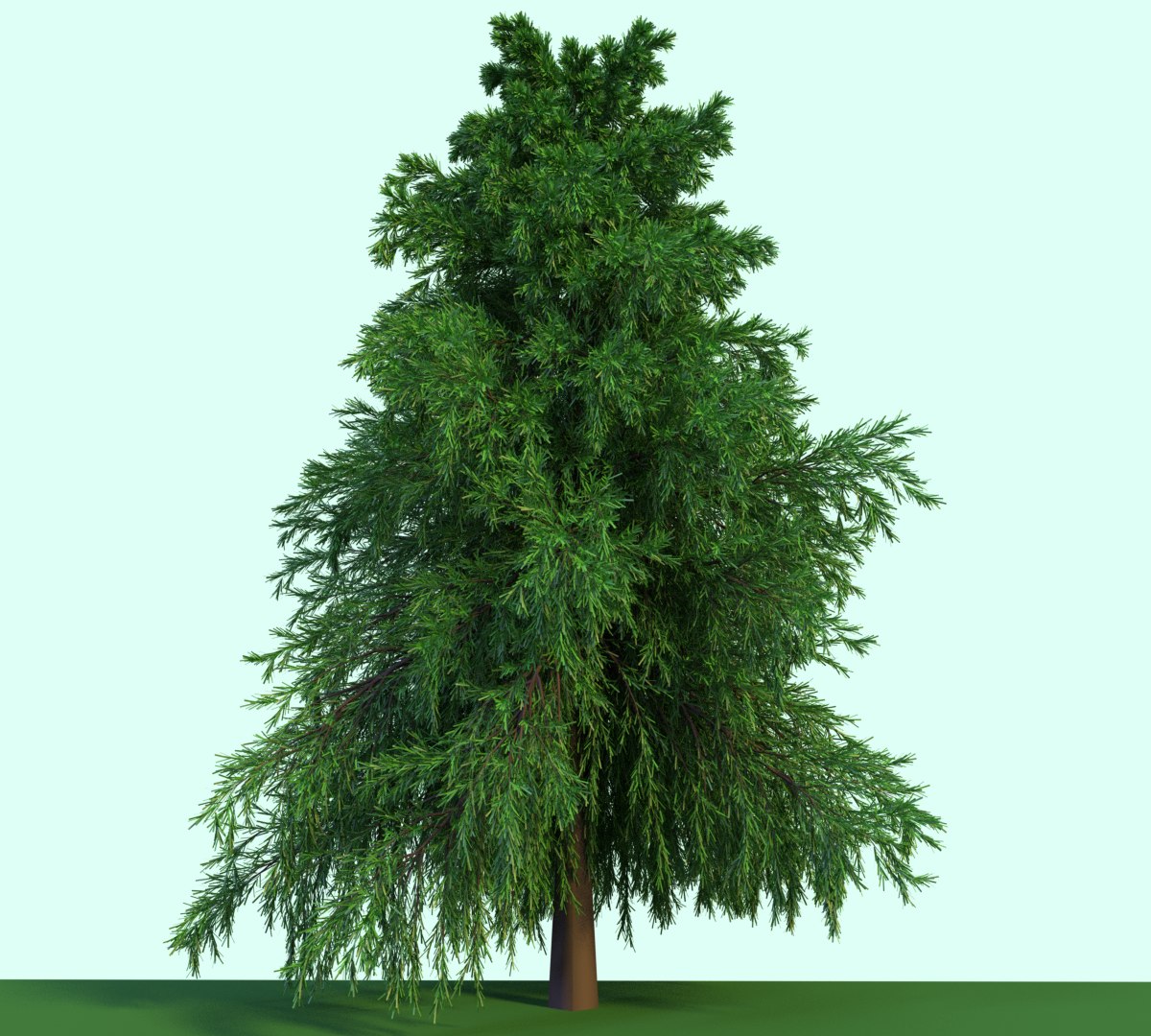 3D Evergreen Tree - TurboSquid 1346603