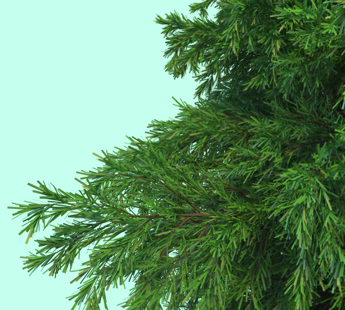 3D Evergreen Tree - TurboSquid 1346603