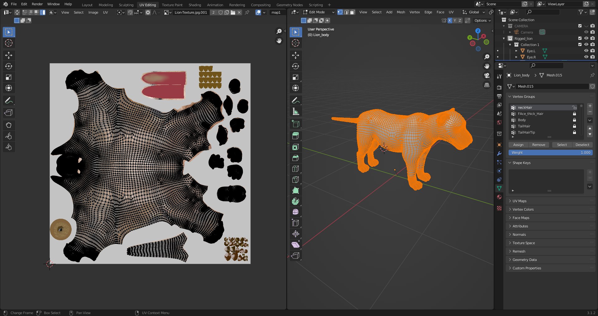 Fur Lion Rigged In Blender 3D Model - TurboSquid 2024247