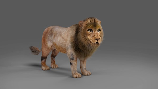 modelo 3d León de piel aparejado en Blender - TurboSquid 2024247