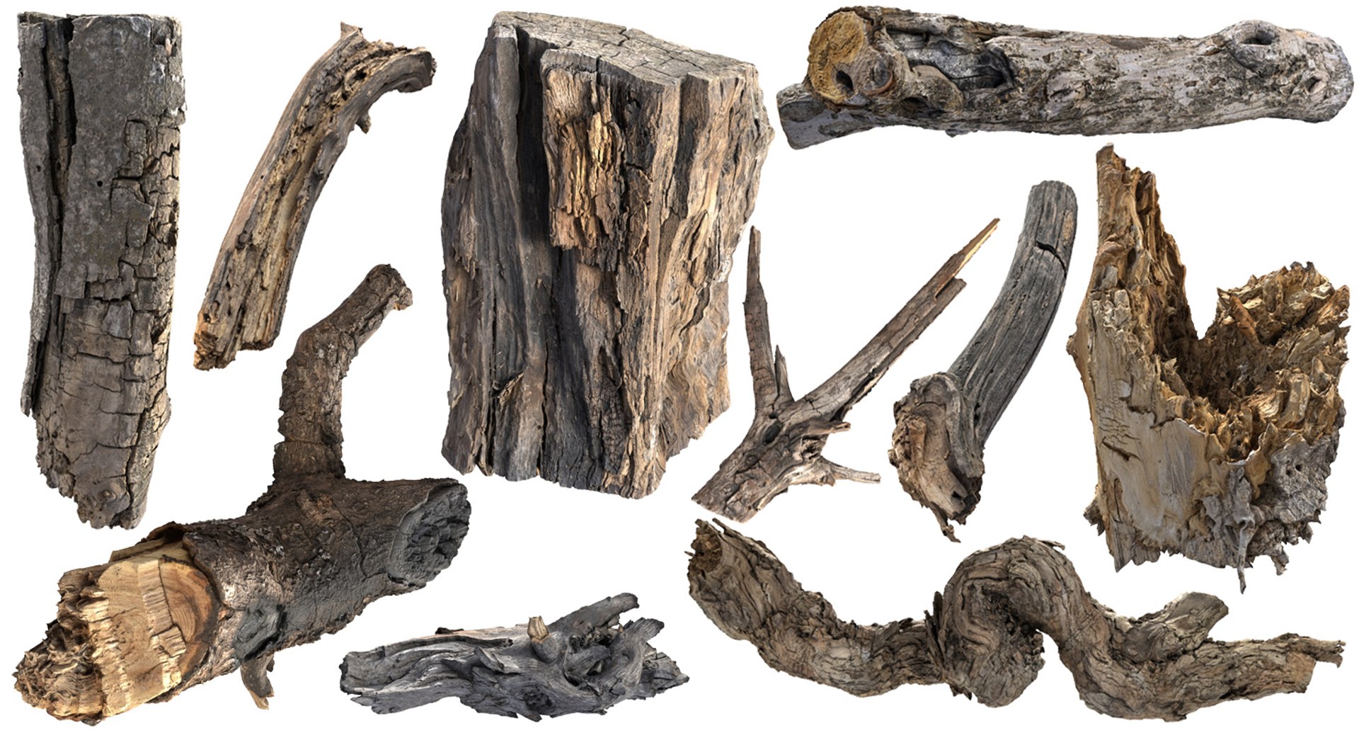 Tree branch 3D - TurboSquid 1427128