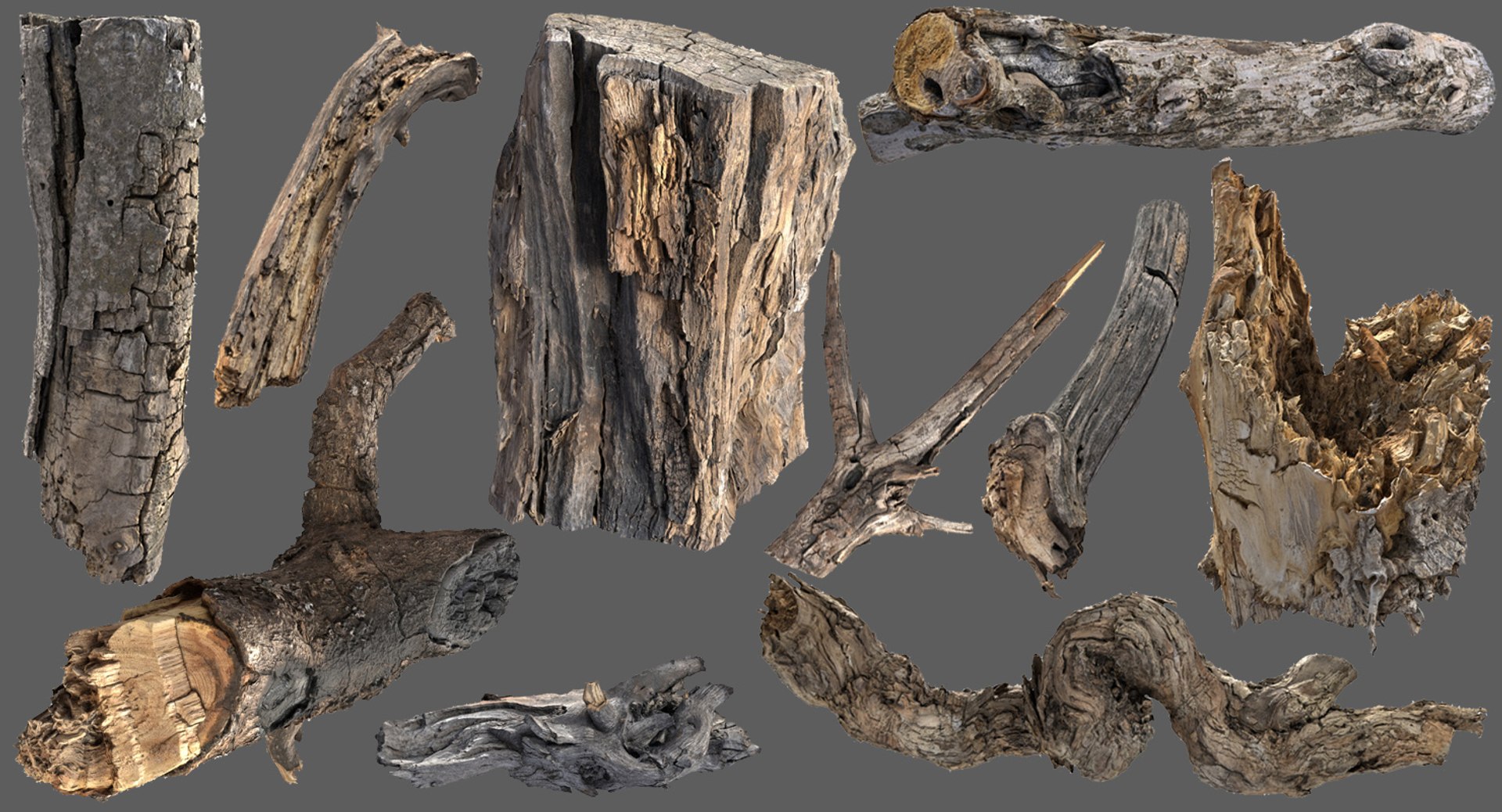 Tree branch 3D - TurboSquid 1427128