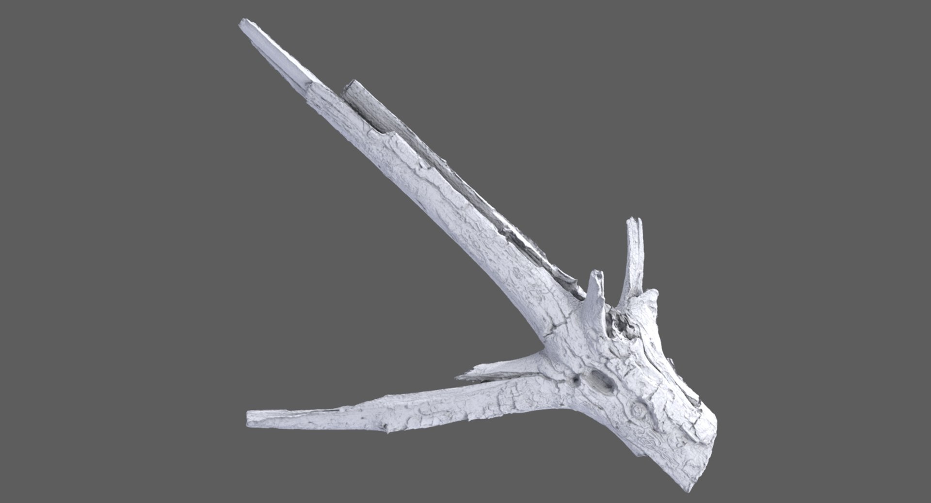 Tree branch 3D - TurboSquid 1427128