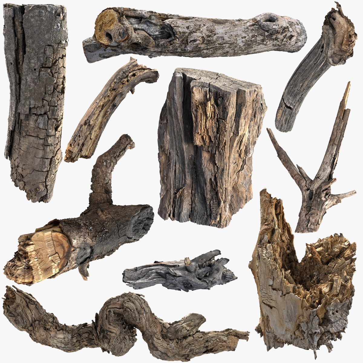 Tree branch 3D - TurboSquid 1427128