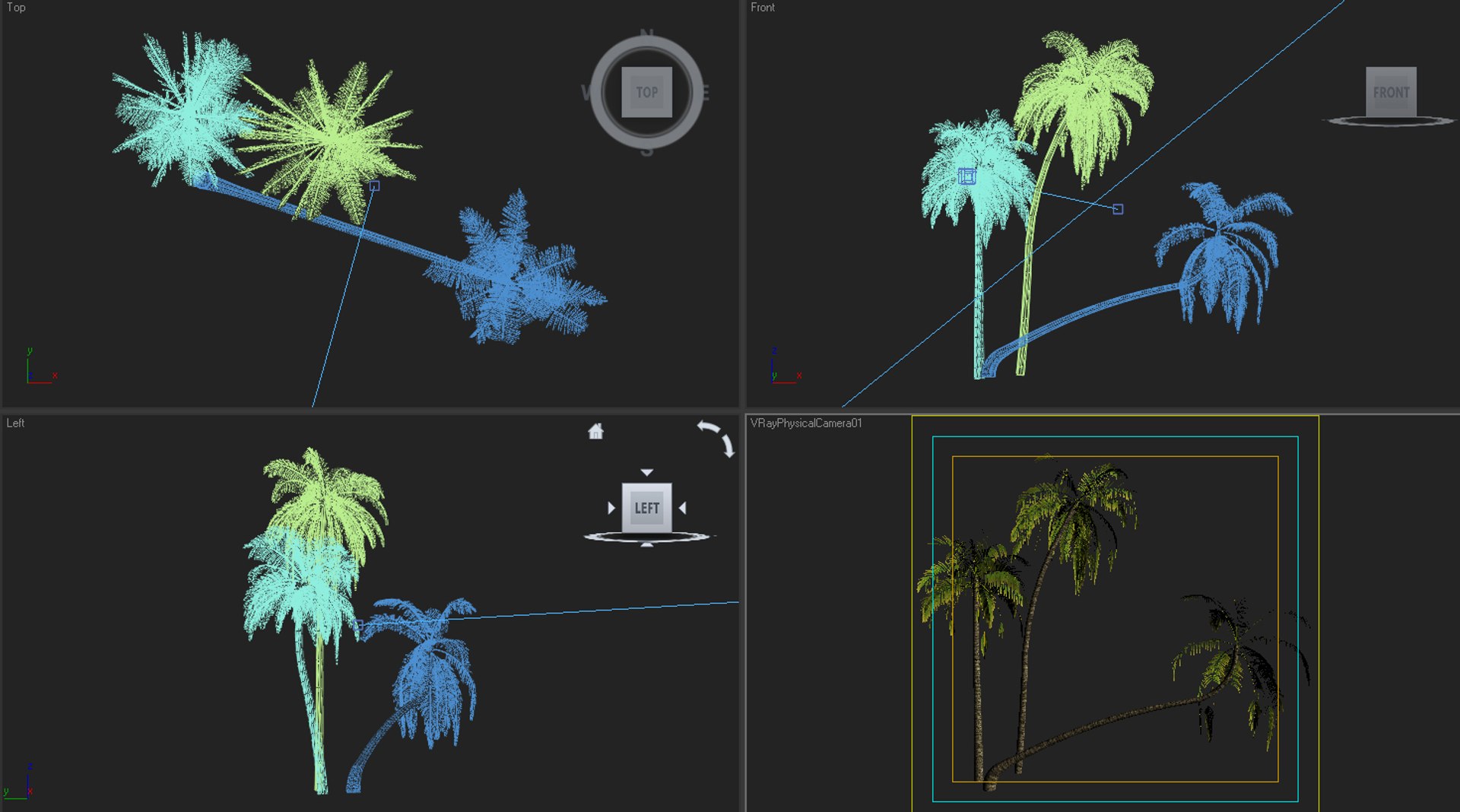 Max Coconut Palm Nut