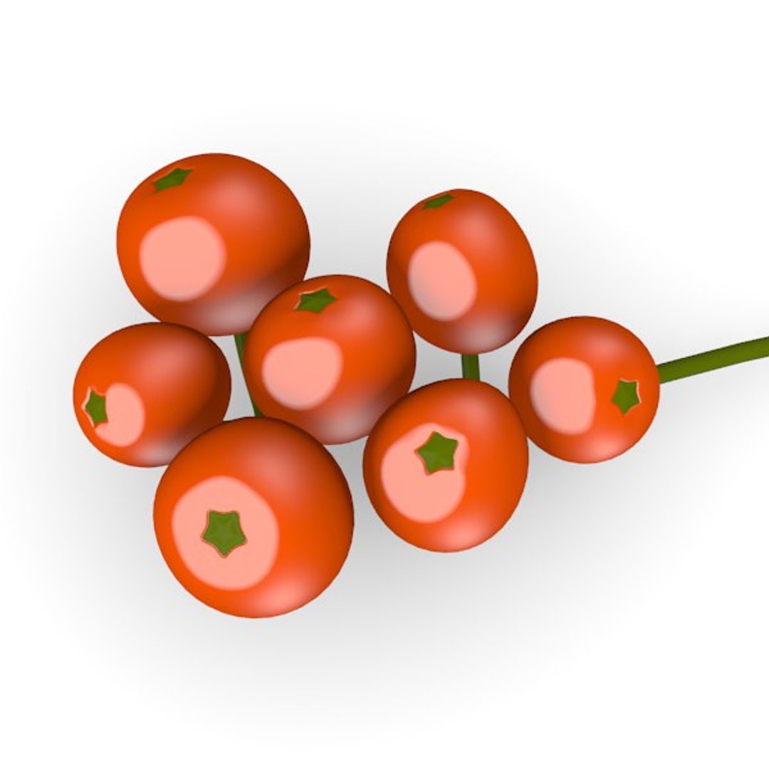 3d model rowan berries
