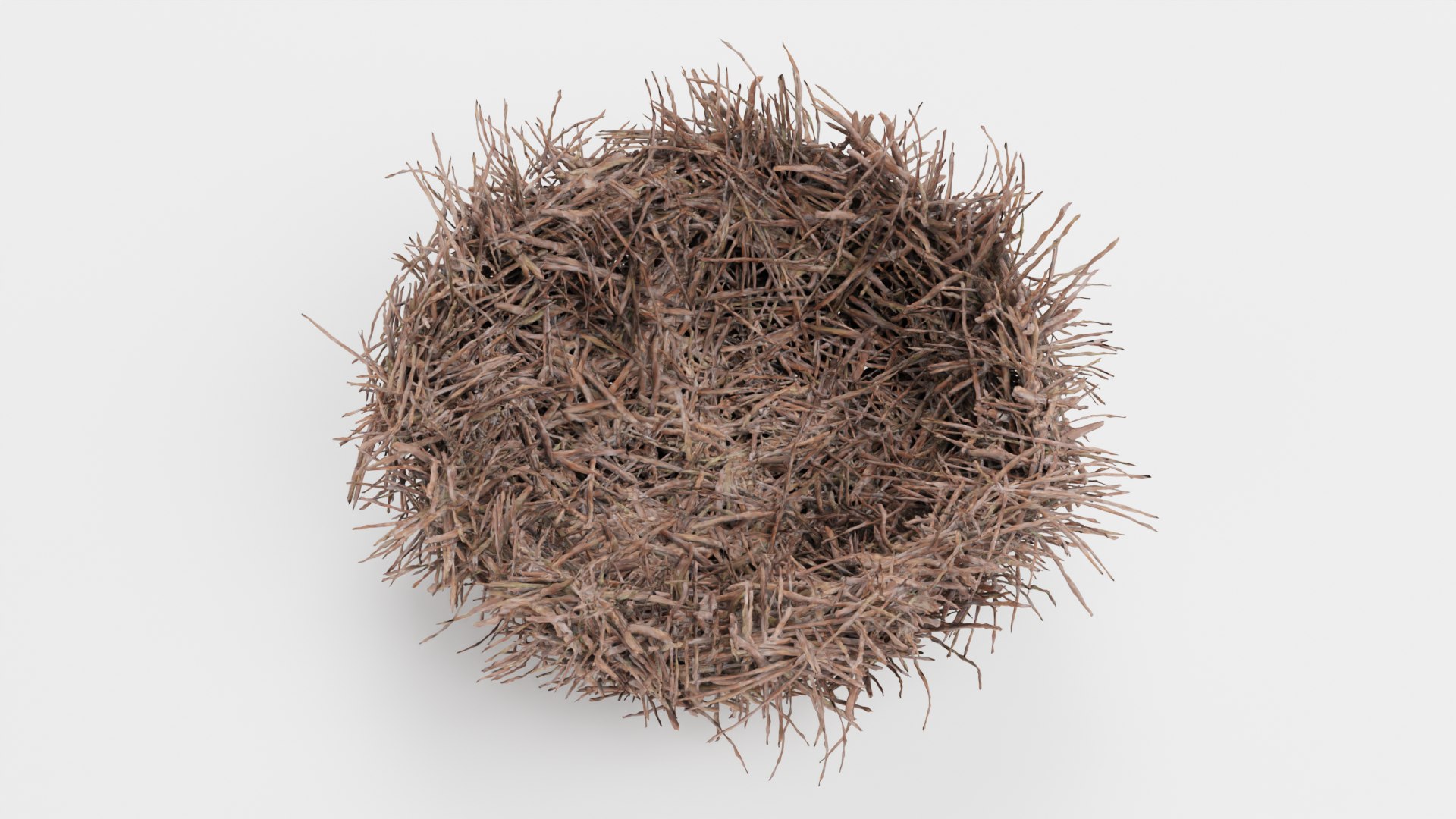 Nests 3D - TurboSquid 2178485