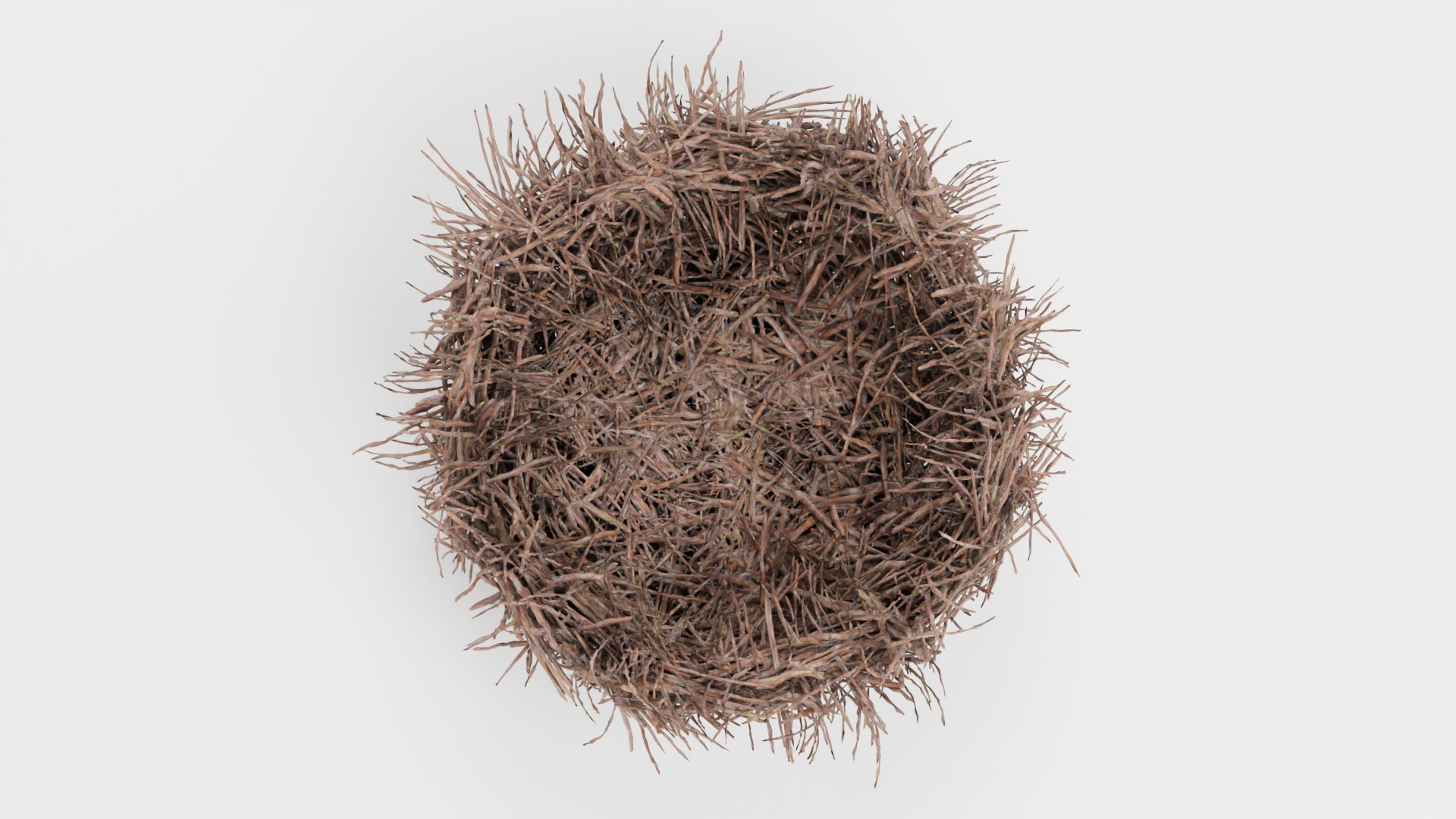 Nests 3D - TurboSquid 2178485