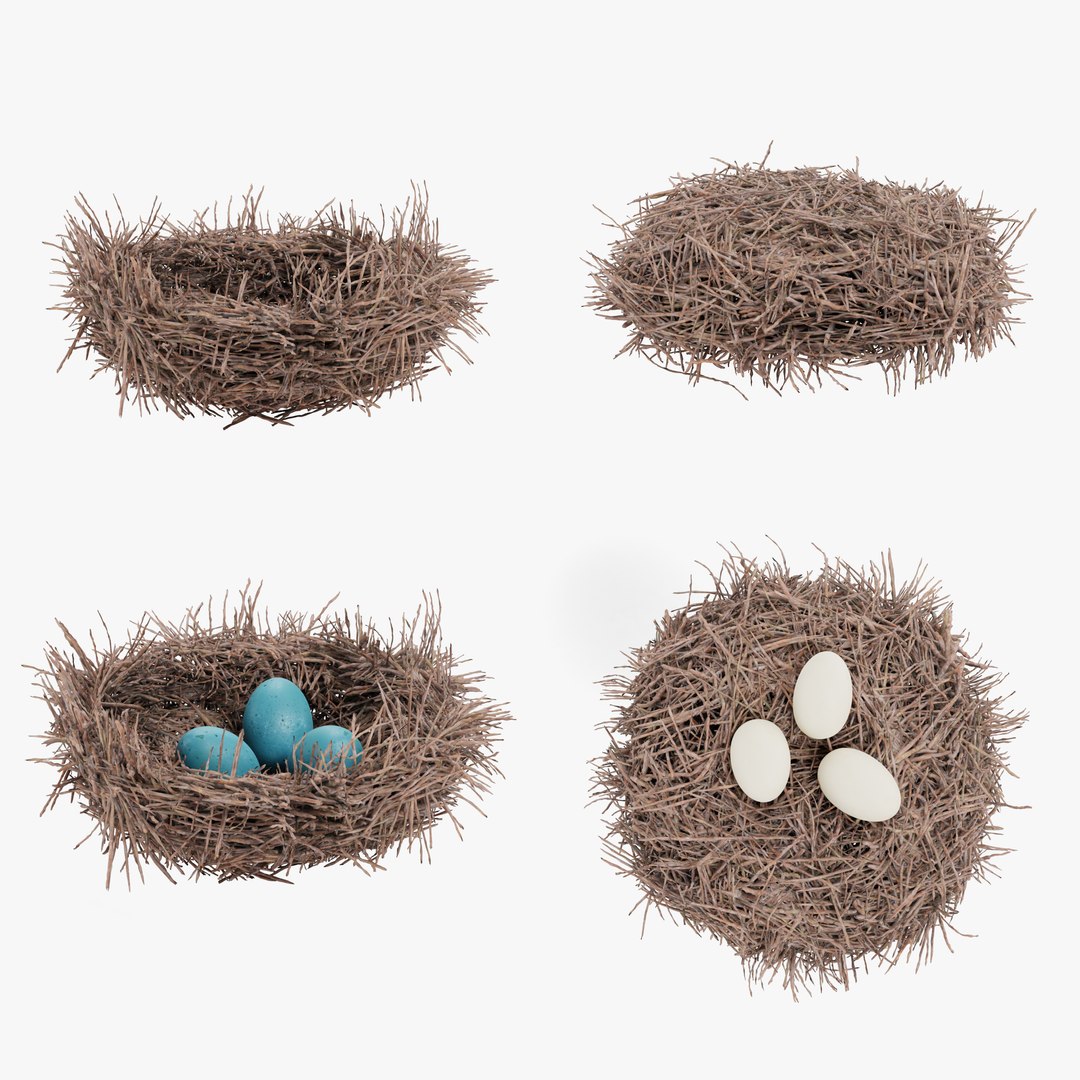 Nests 3D - TurboSquid 2178485