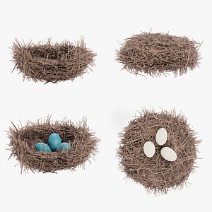 Free 3D Birds-Nest Models | TurboSquid