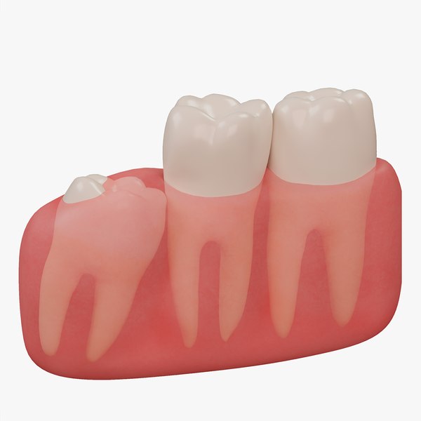 Blender Teeth Models | TurboSquid