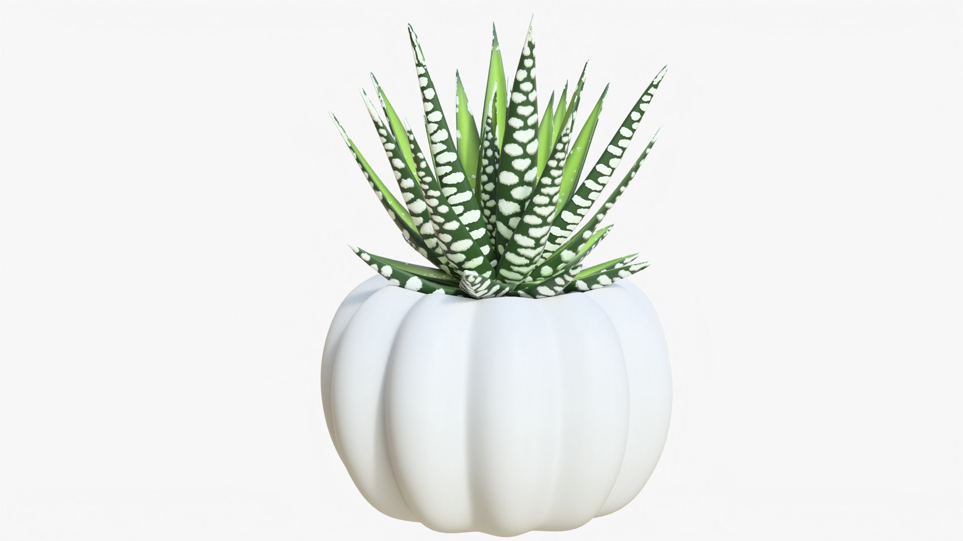 Succulent 01 C Model - TurboSquid 1987476