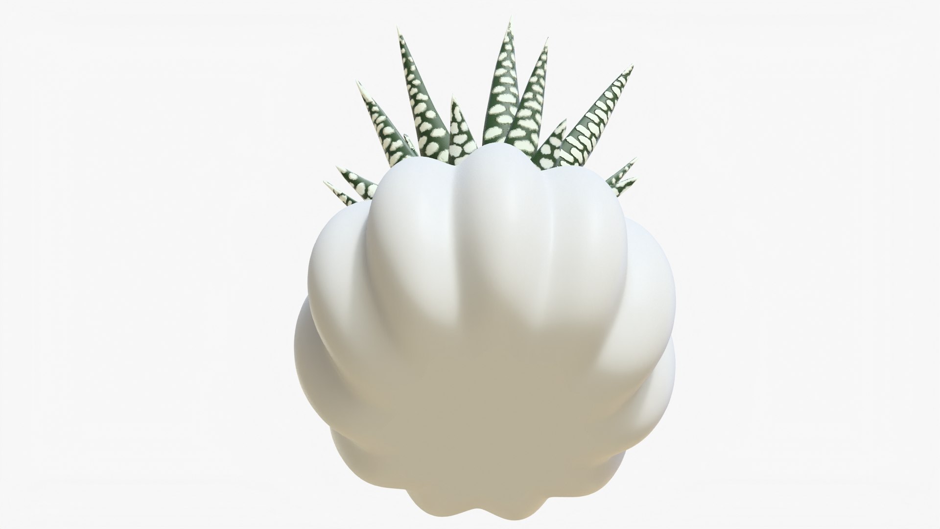 Succulent 01 C Model - TurboSquid 1987476