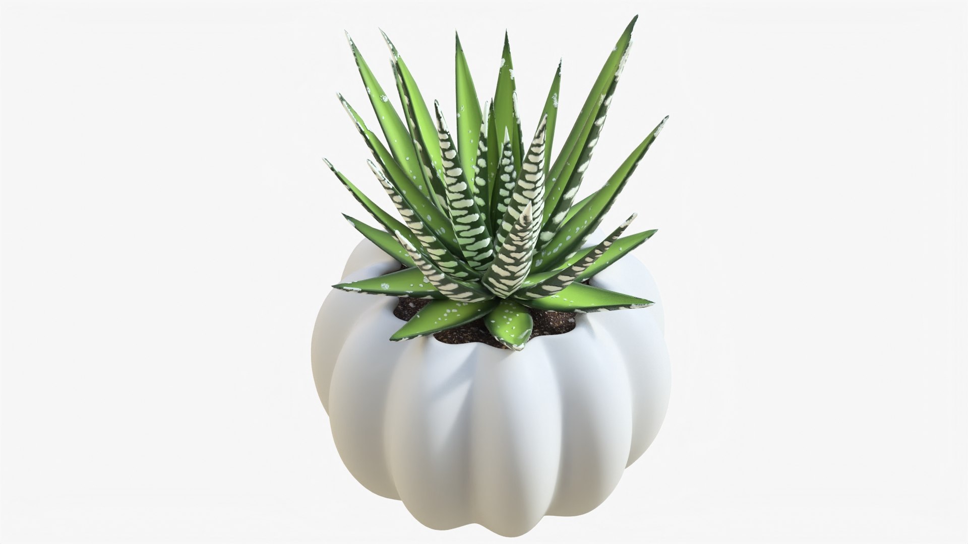 Succulent 01 C Model - TurboSquid 1987476