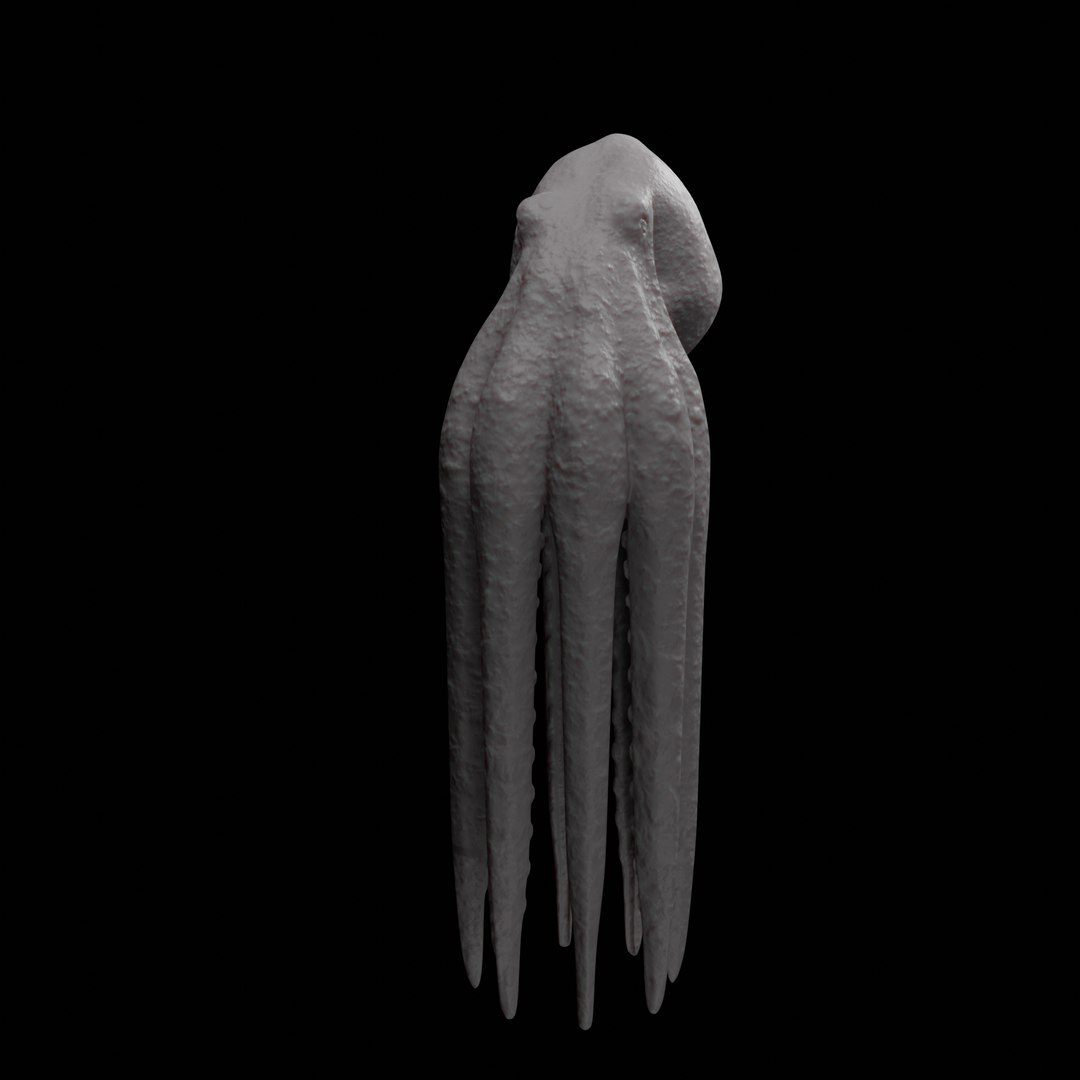 3D octopus swimming animation - TurboSquid 1612424