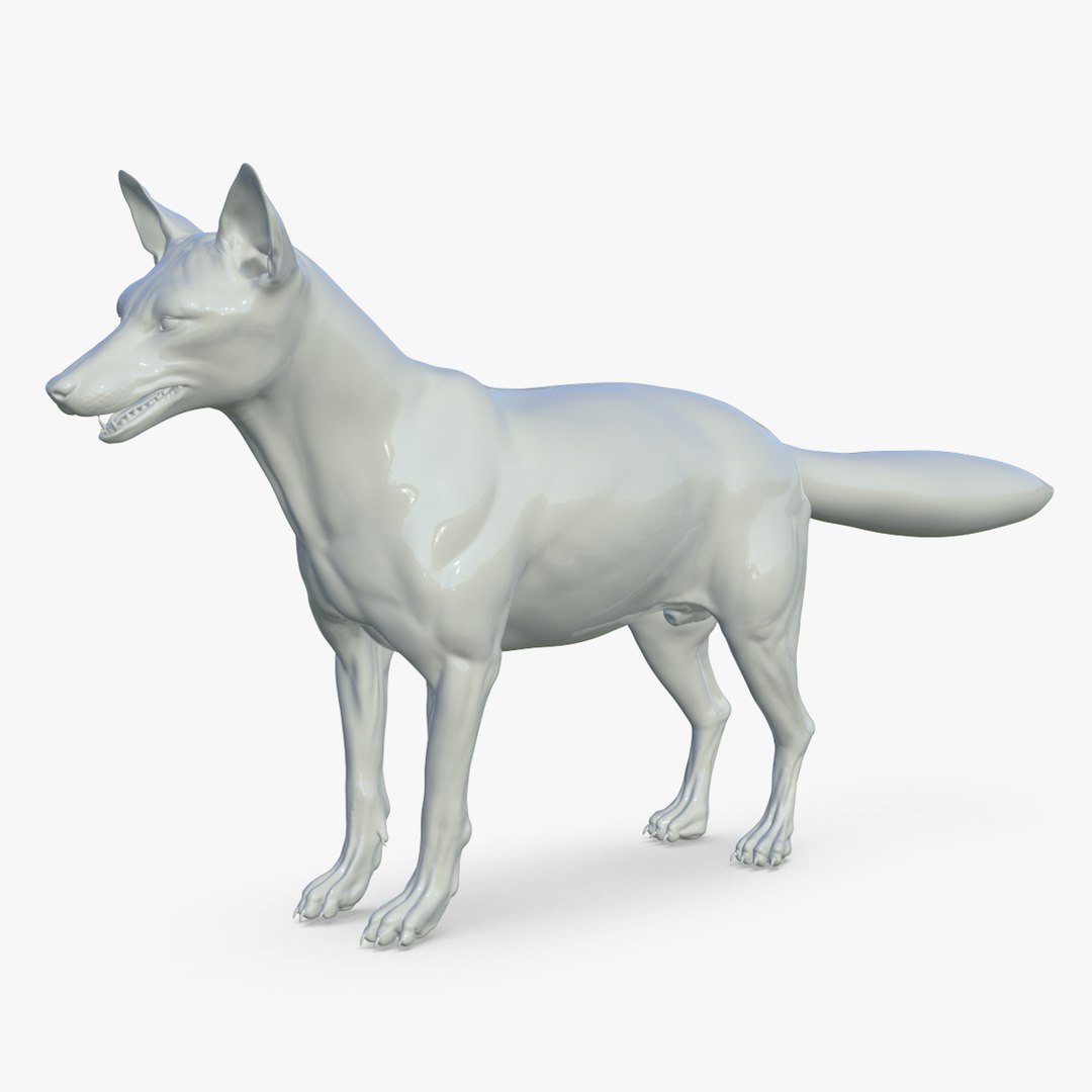 Fox 3D Model - TurboSquid 2206753