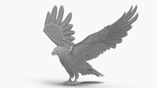 Wooden eagle animation 3D - TurboSquid 1627174