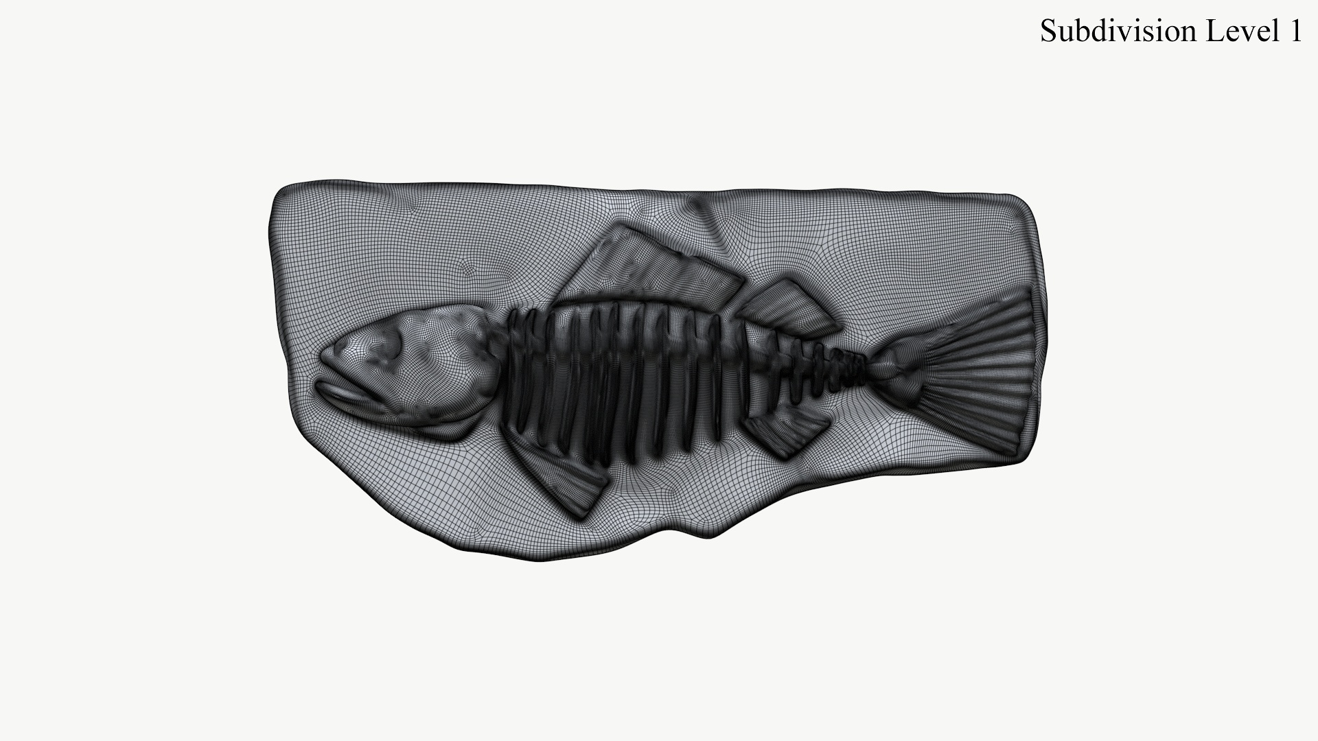 Fish Fossil 003 Textured 3D Model - TurboSquid 2300242