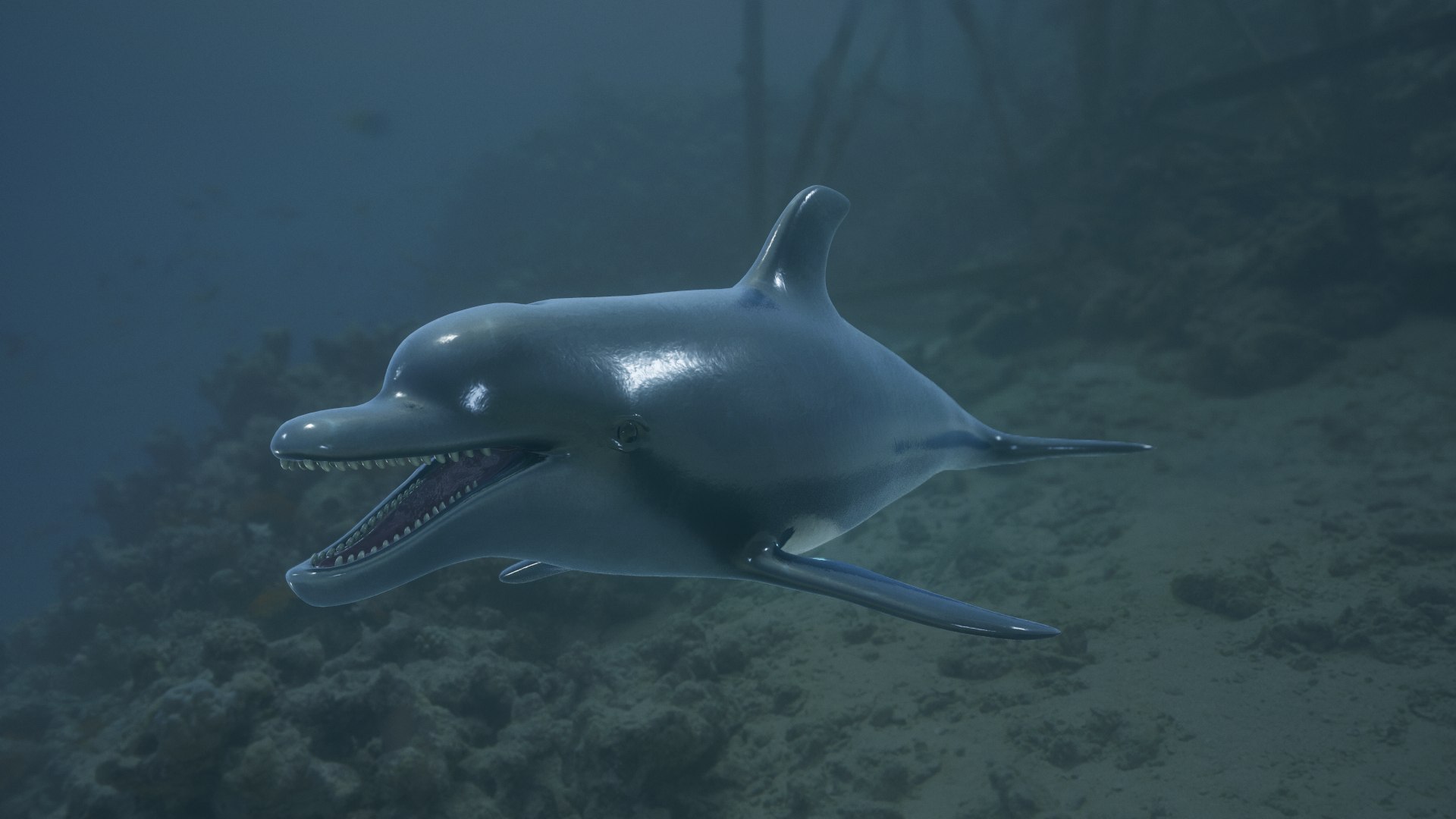 3D Dolphin Ready Pbr - TurboSquid 1479618