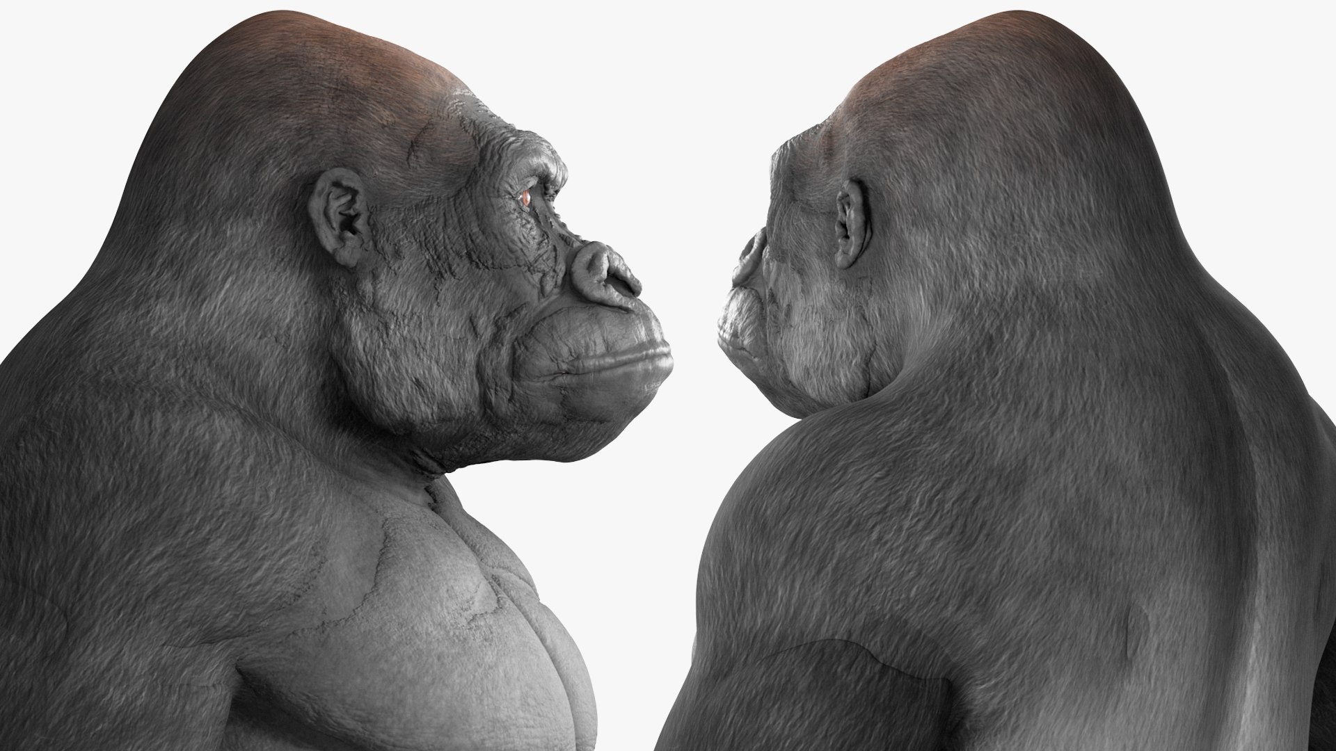 3D Gorilla Basic Pose - TurboSquid 2194805