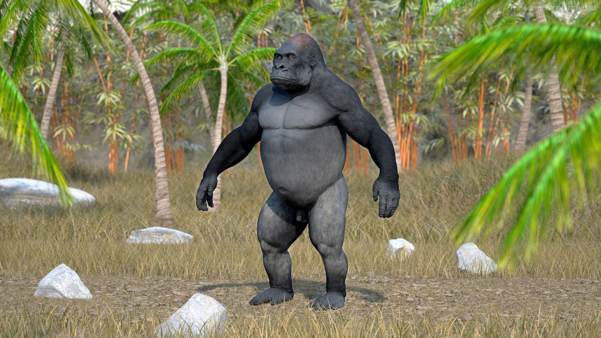 3D Gorilla Basic Pose - TurboSquid 2194805