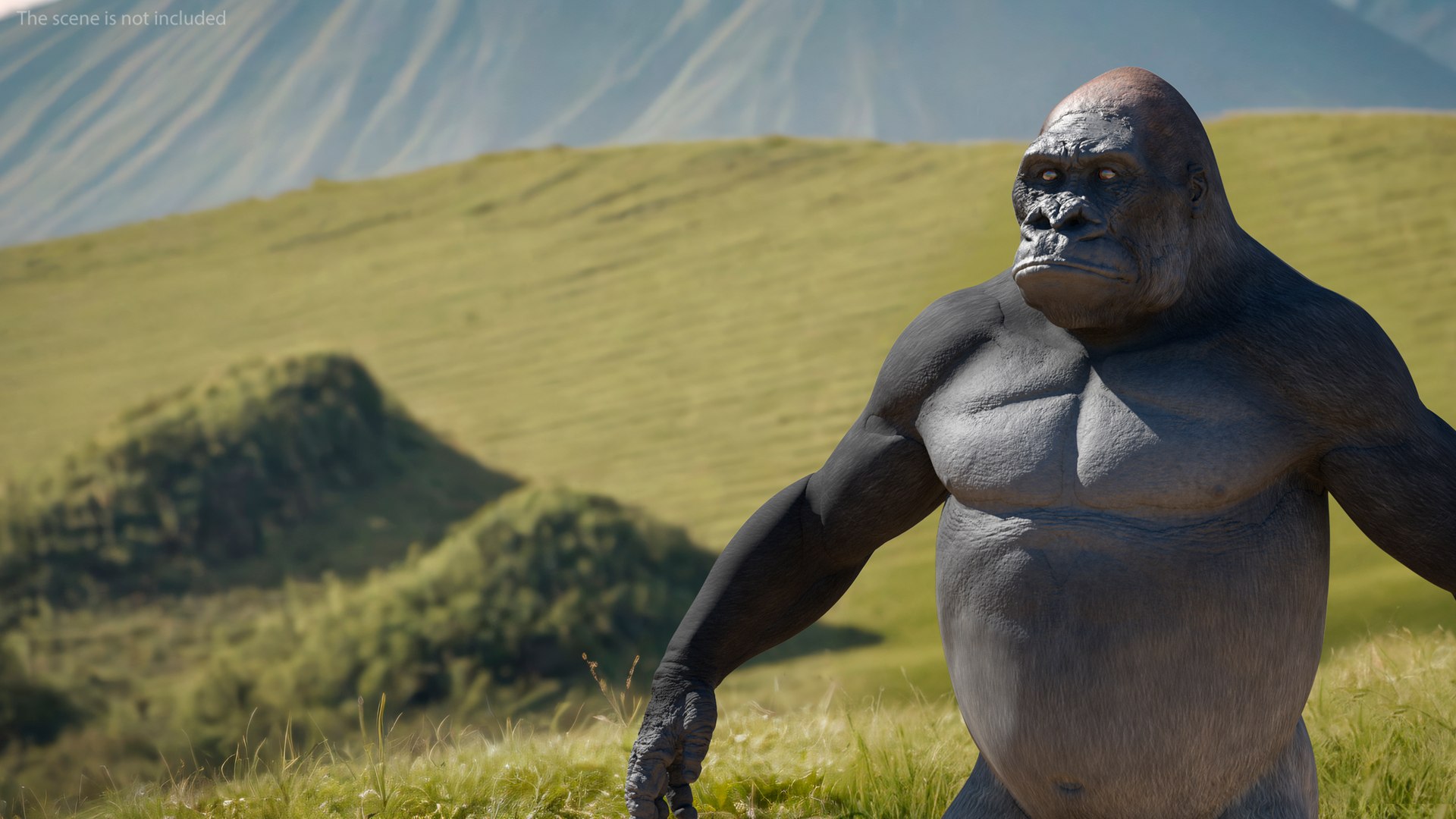 3D Gorilla Basic Pose - TurboSquid 2194805