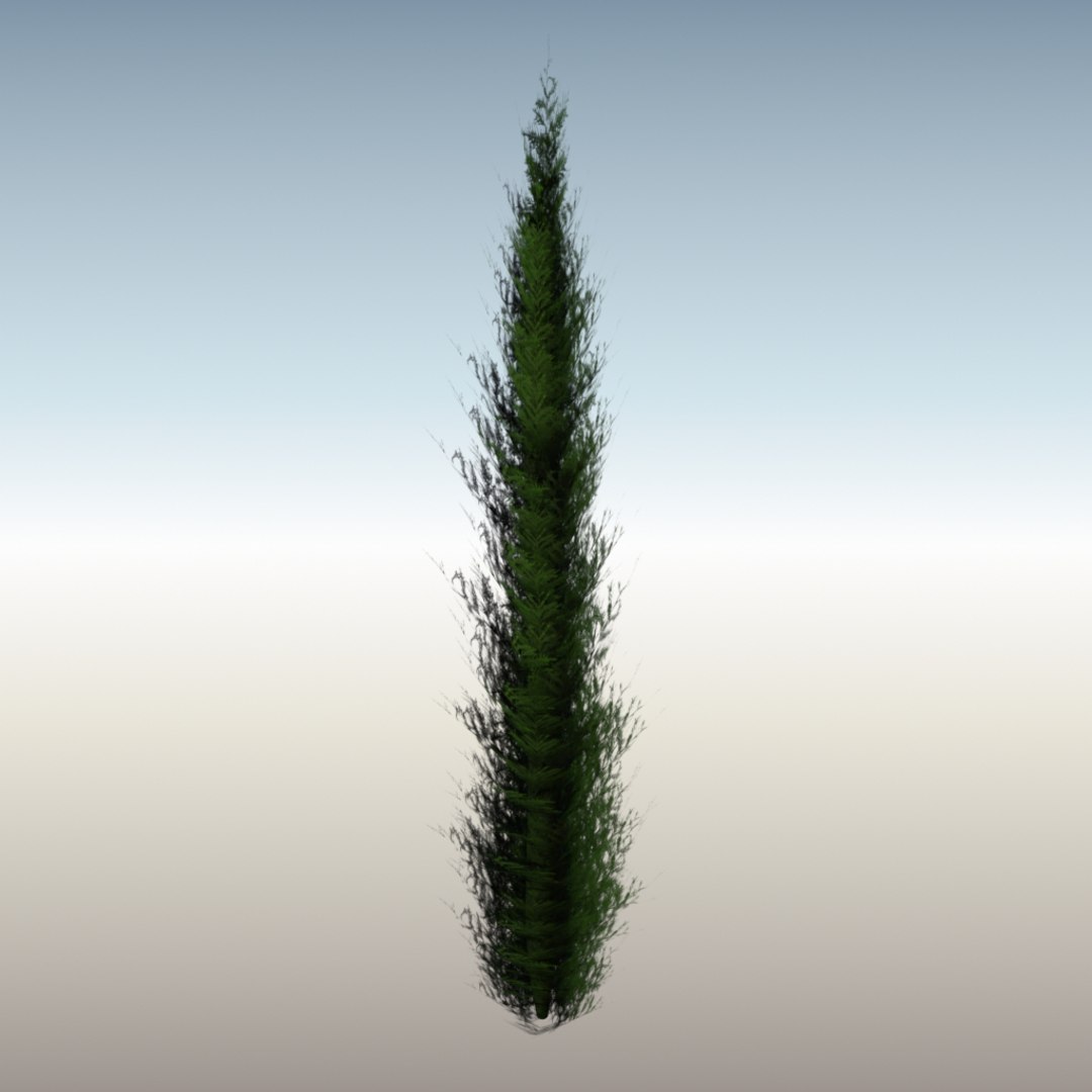 Optimized Cypress Tree 3d Model