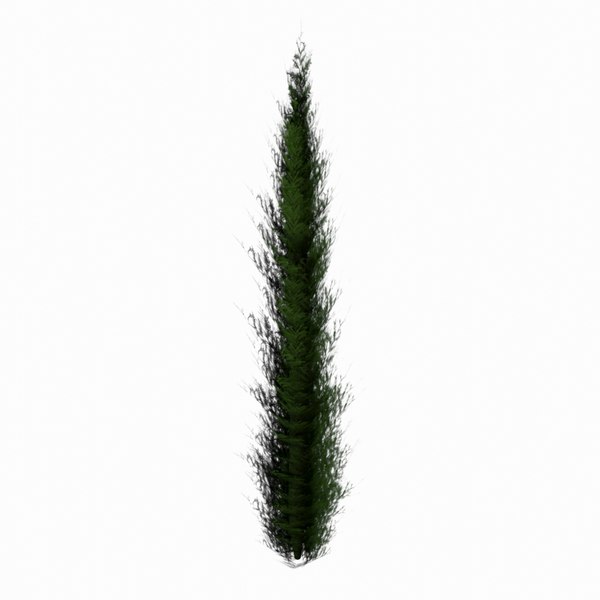 optimized cypress tree 3d model