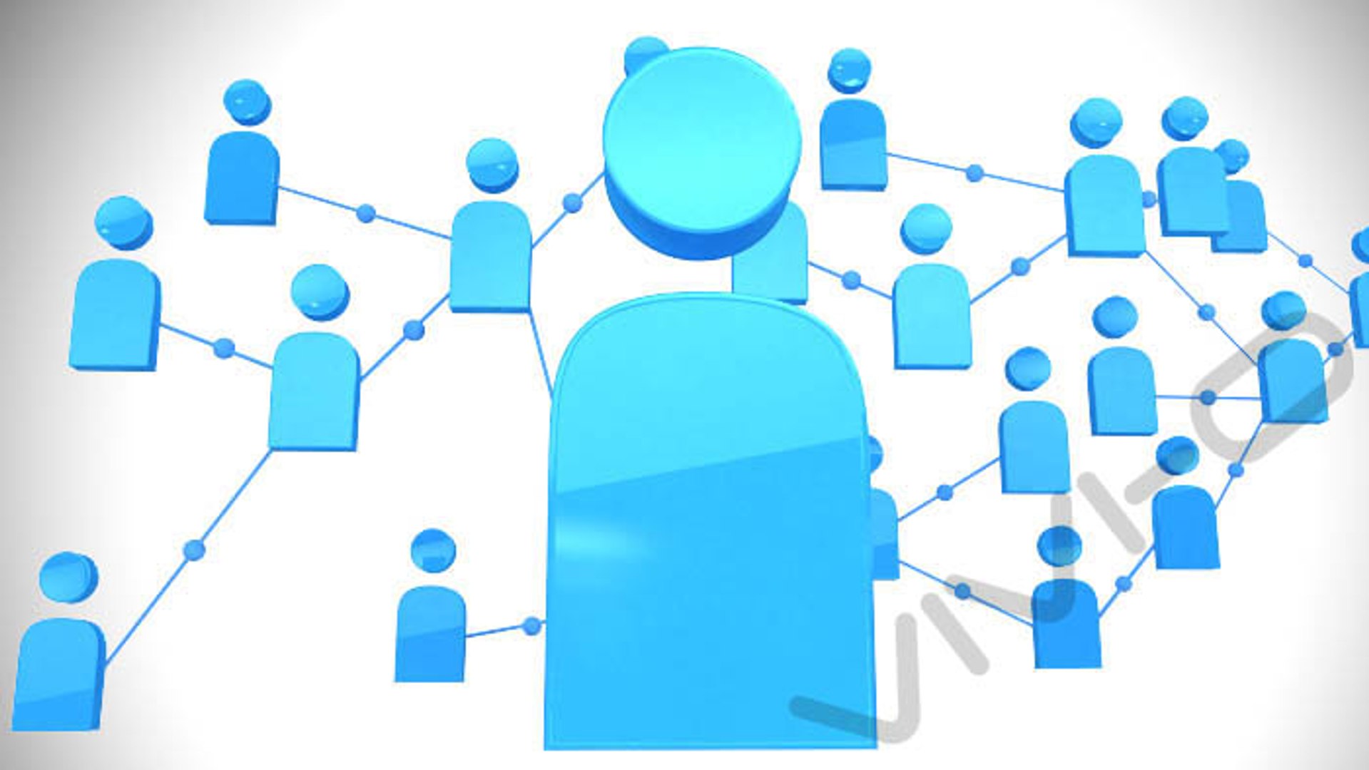3d Social Network Model