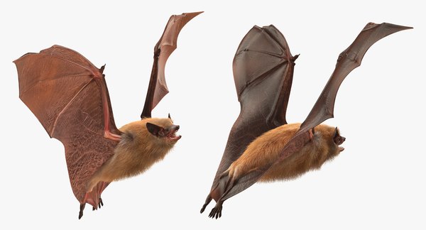 flying bat fur hair 3d max