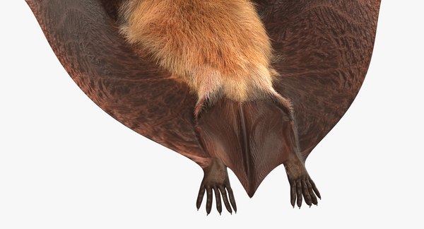 flying bat fur hair 3d max