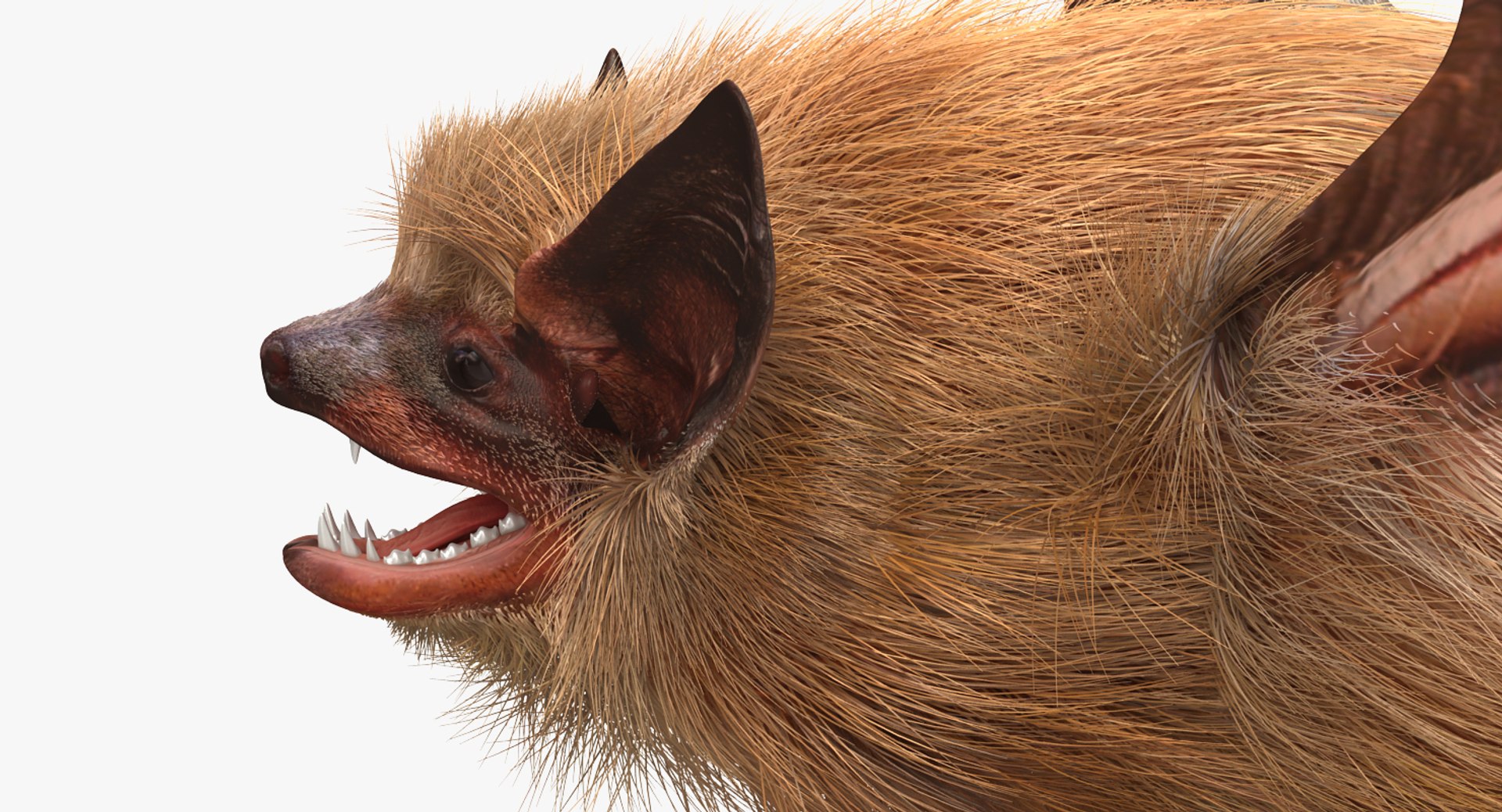 flying bat fur hair 3d max