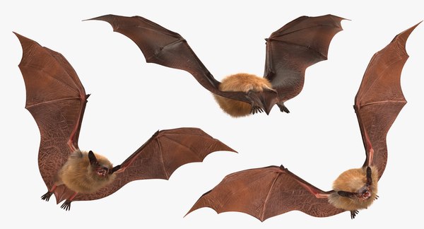 flying bat fur hair 3d max