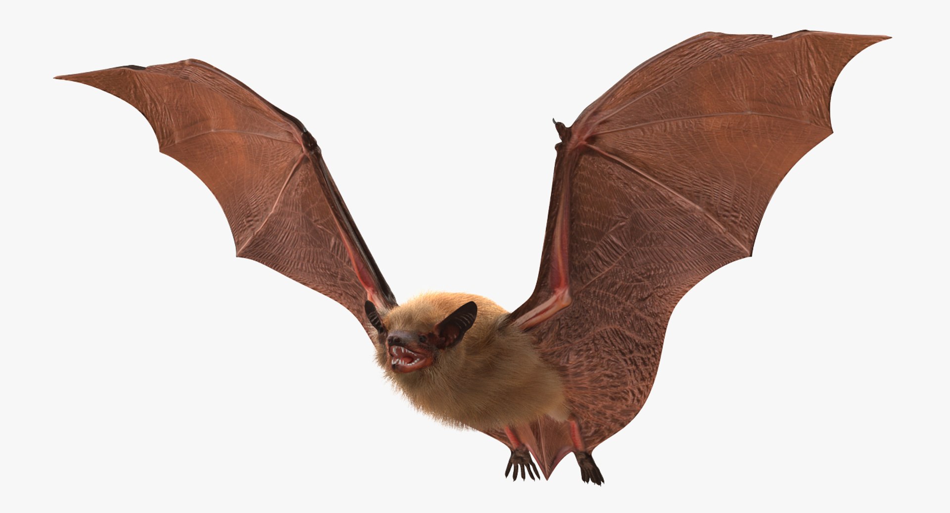 flying bat fur hair 3d max