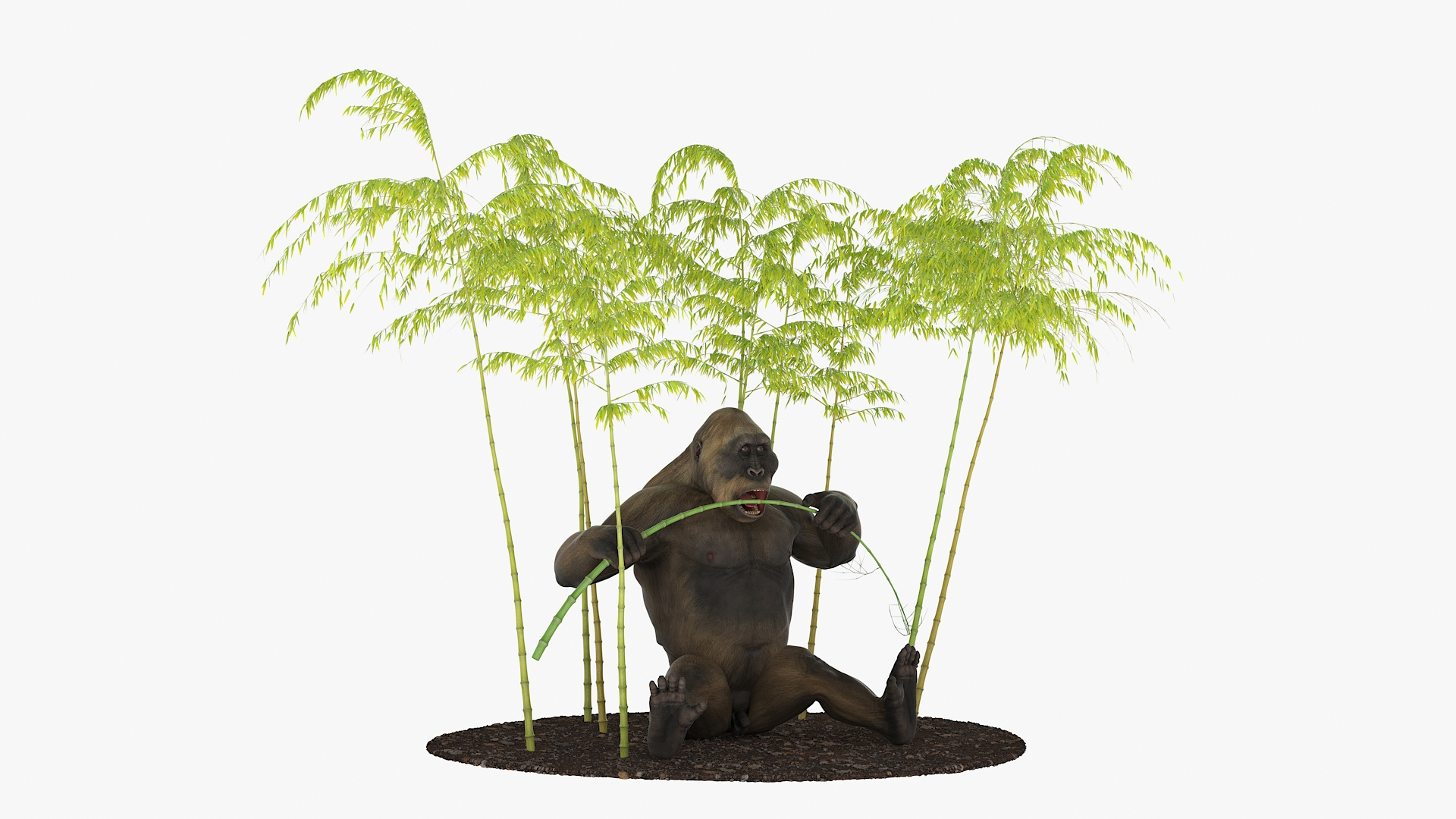 Big Ape Gigantopithecus Eats Bamboo Plants Model - TurboSquid 2311452