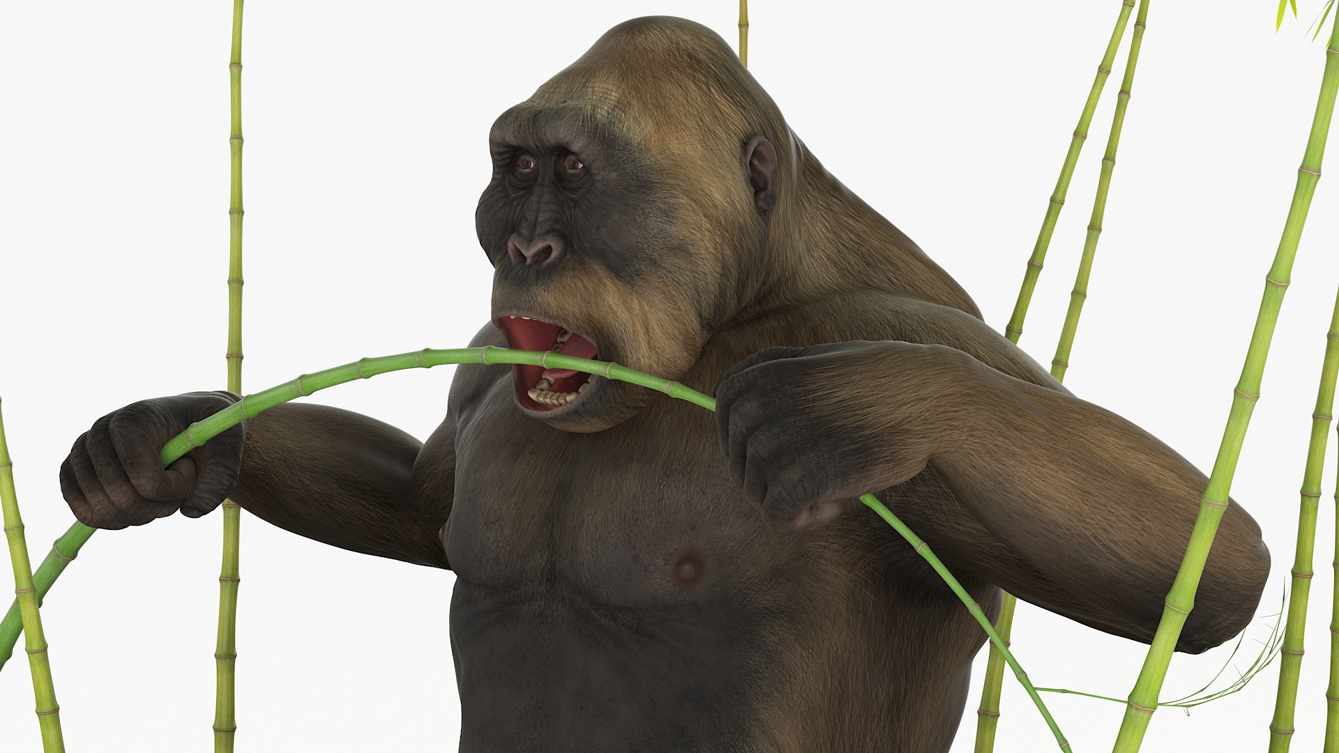 Big Ape Gigantopithecus Eats Bamboo Plants Model - TurboSquid 2311452