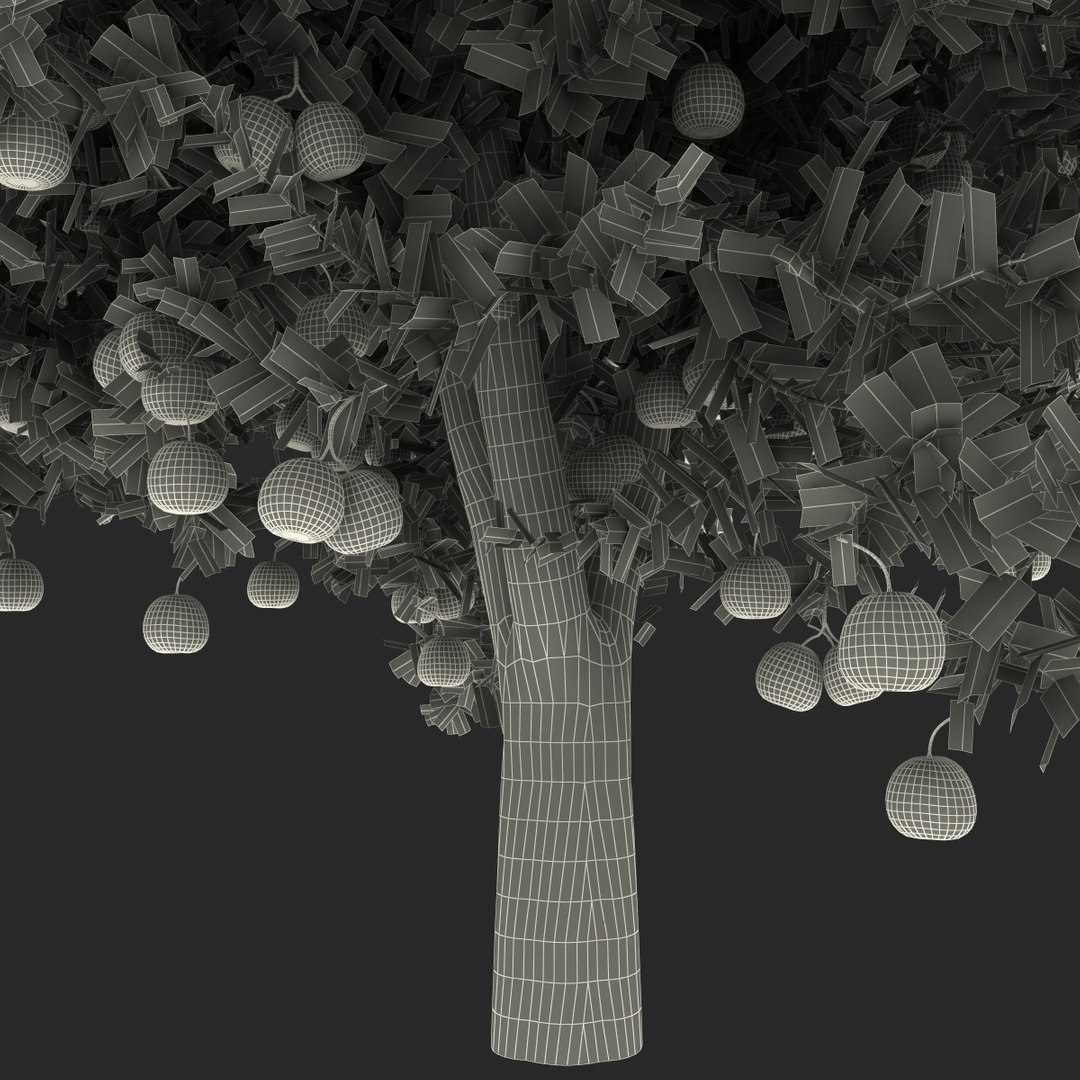 Grapefruit Tree 3d Model
