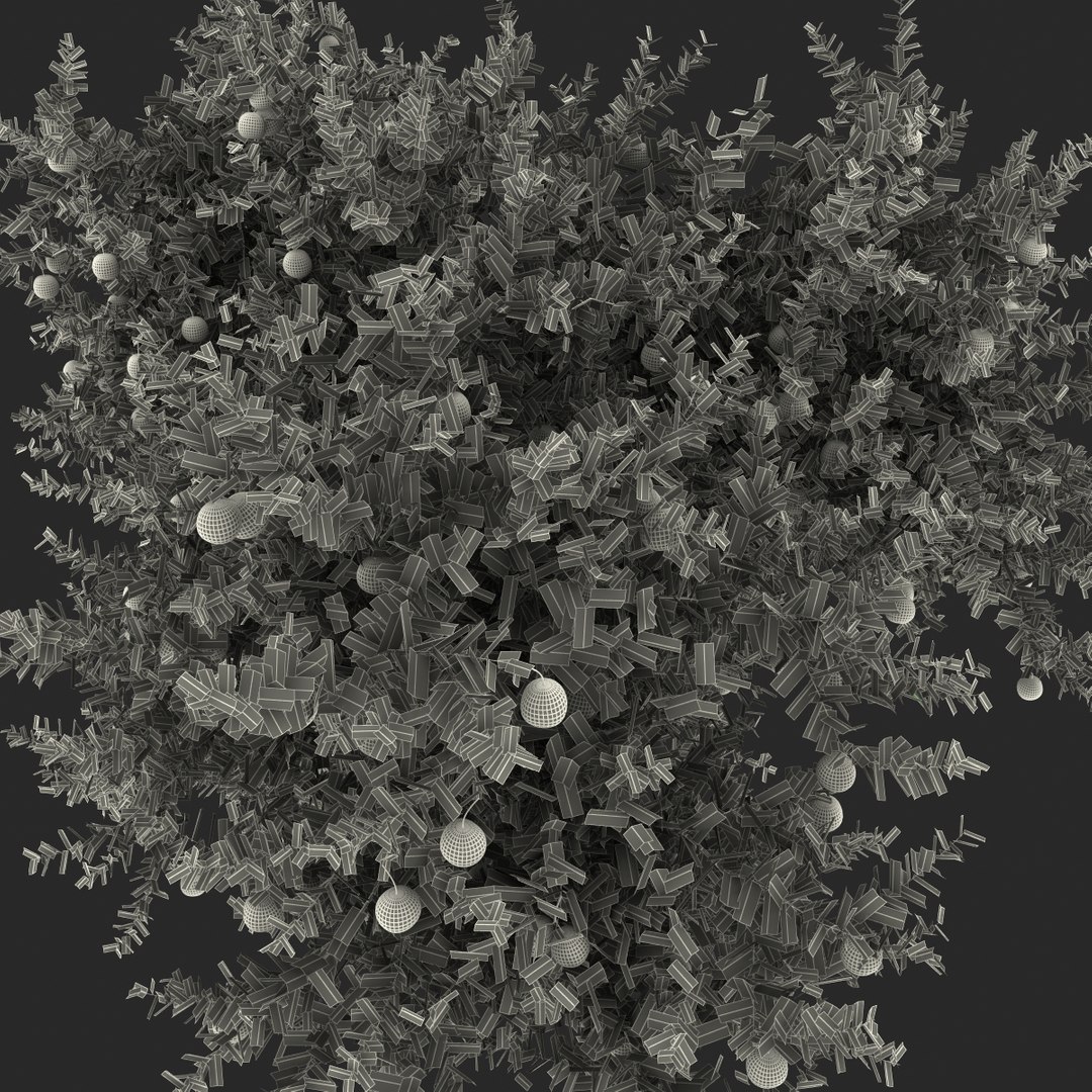 Grapefruit Tree 3d Model