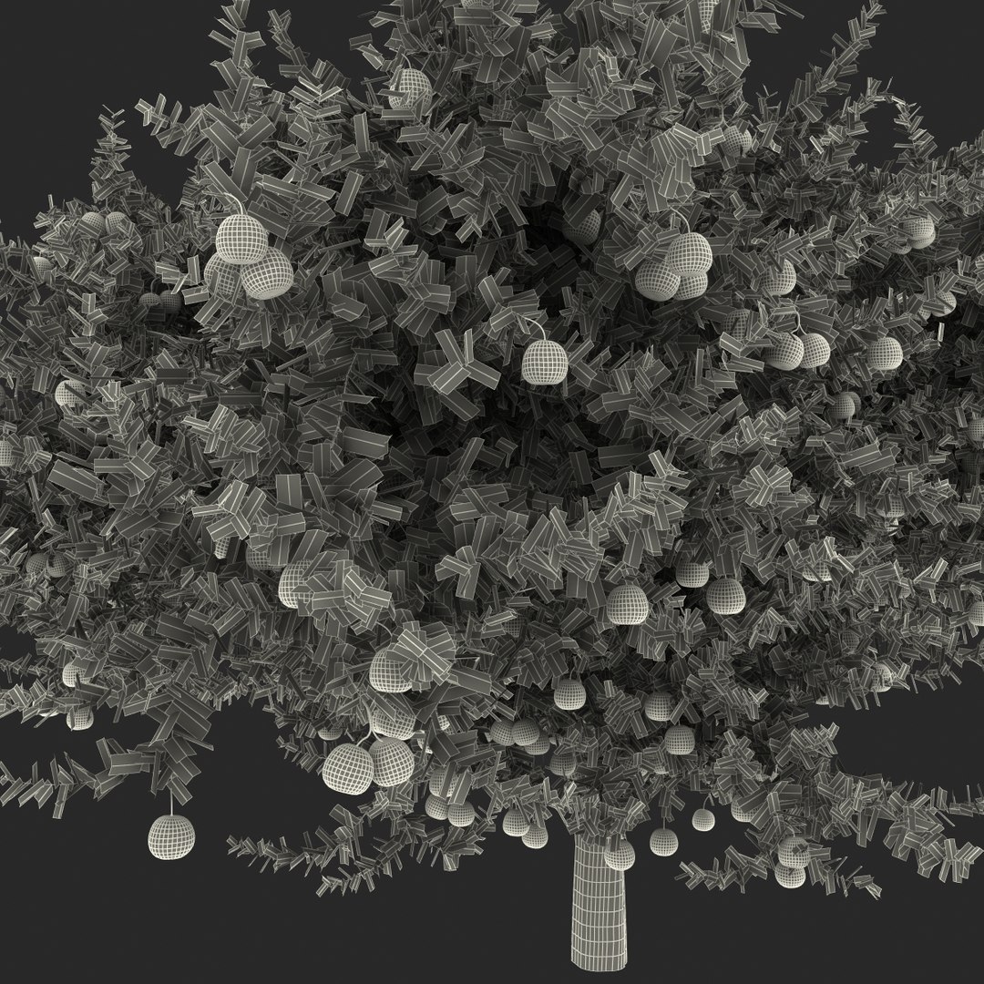 Grapefruit Tree 3d Model