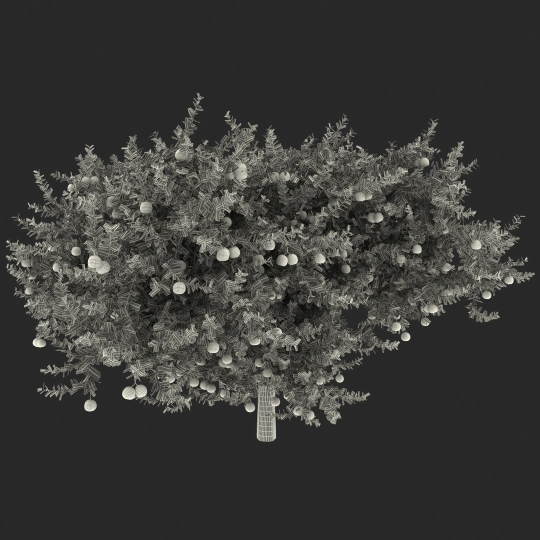 Grapefruit Tree 3d Model