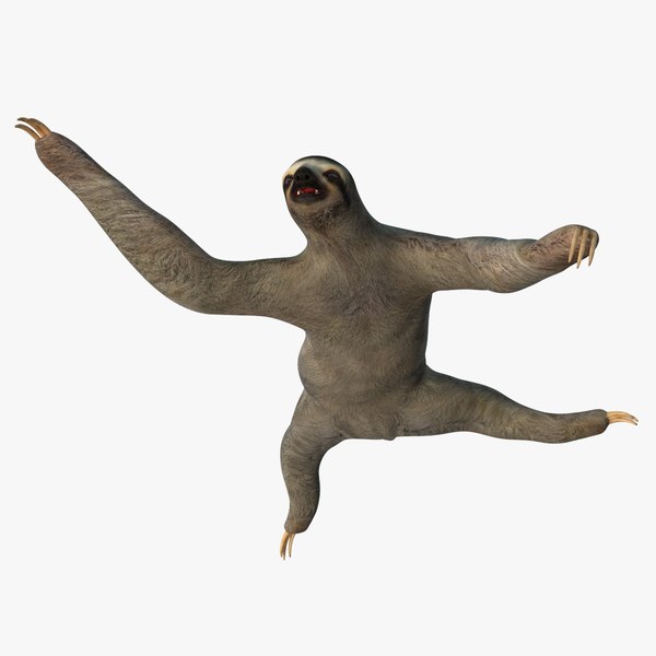 3D Sloth Models | TurboSquid