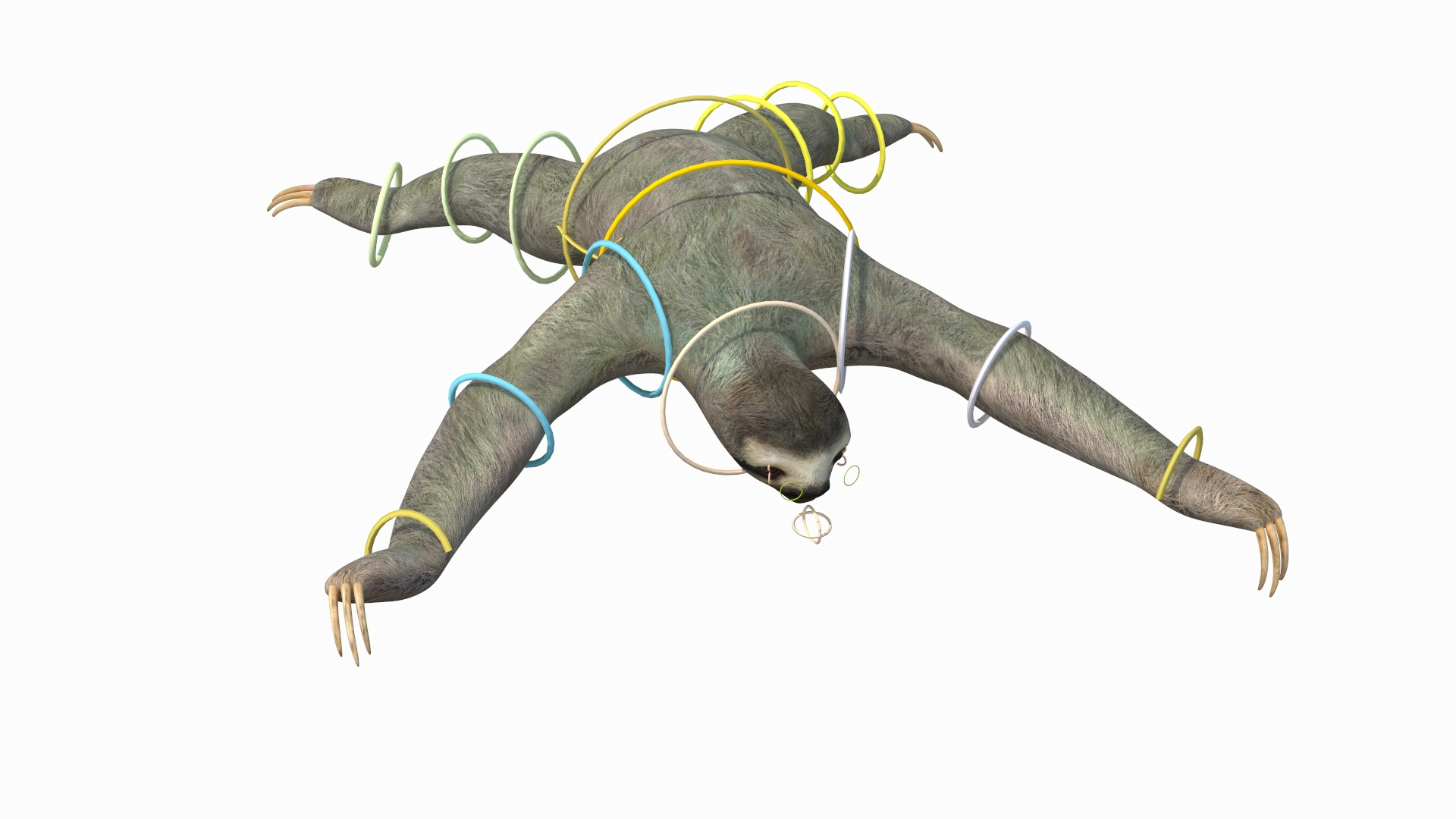 Sloth Rigged Model - TurboSquid 2177594