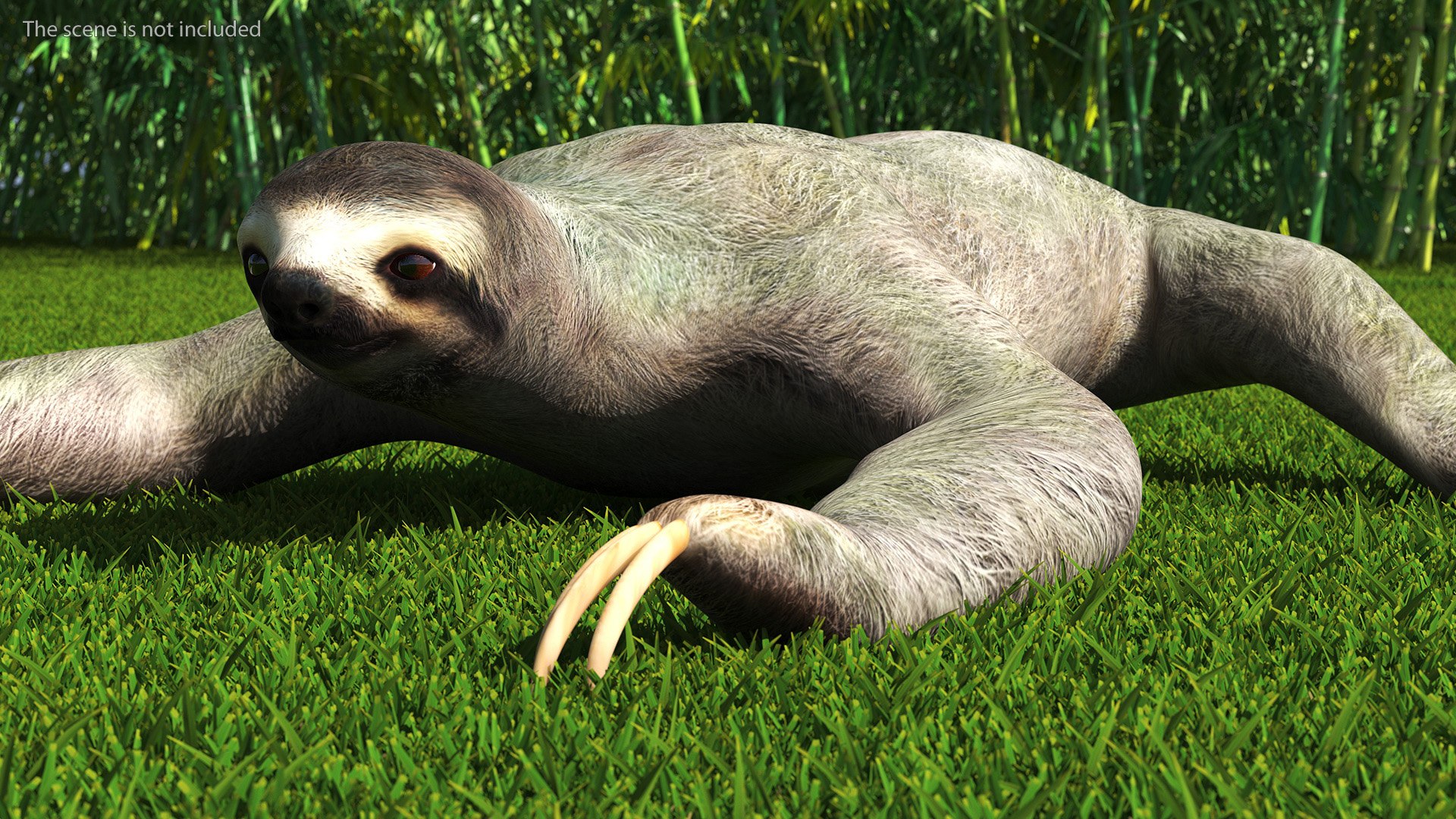 Sloth Rigged Model - TurboSquid 2177594