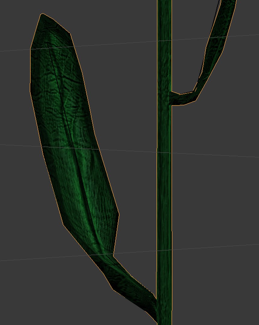 3d Dark Flower Model